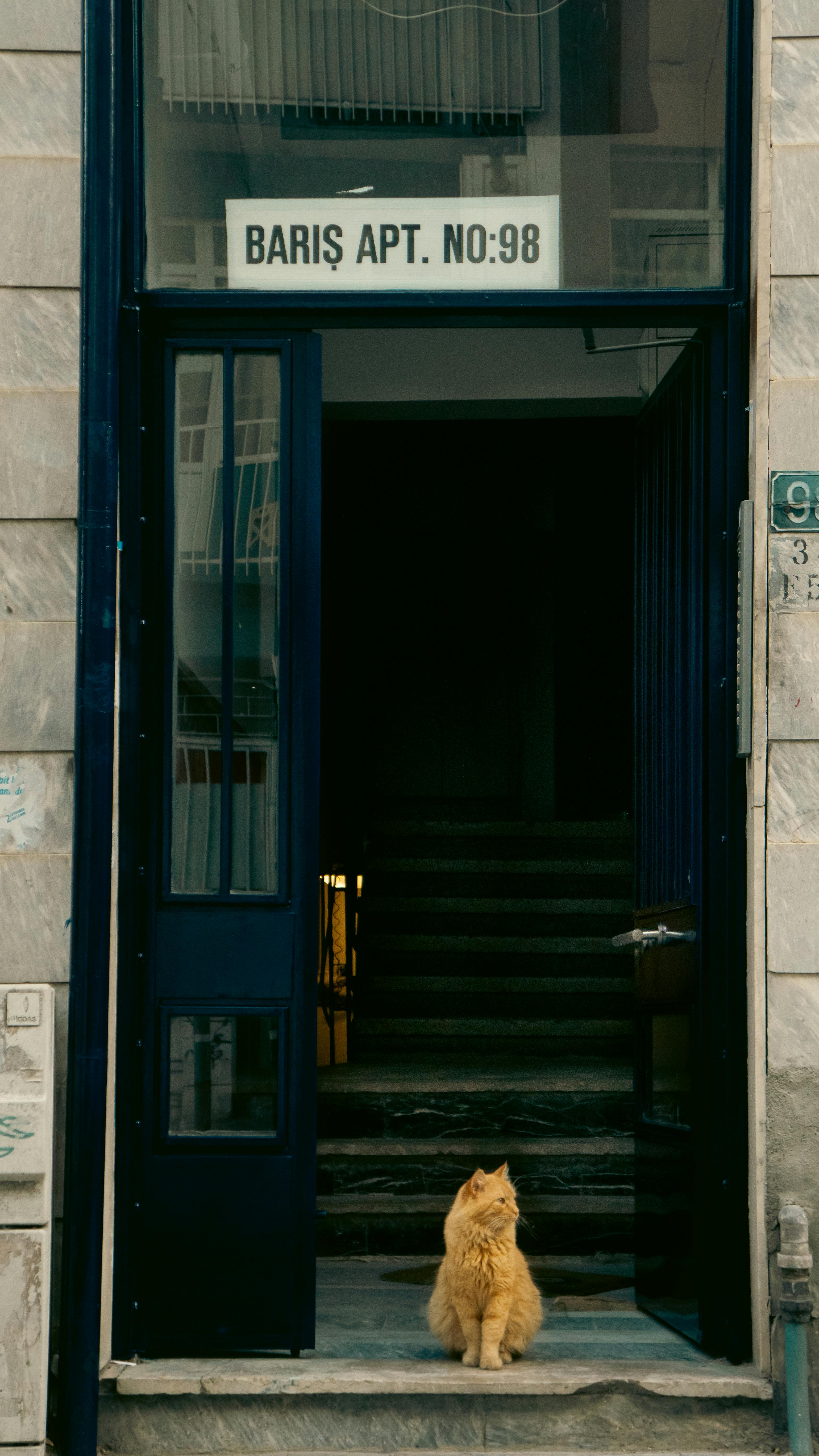 Apartment Animation Photos, Download The BEST Free Apartment Animation ...