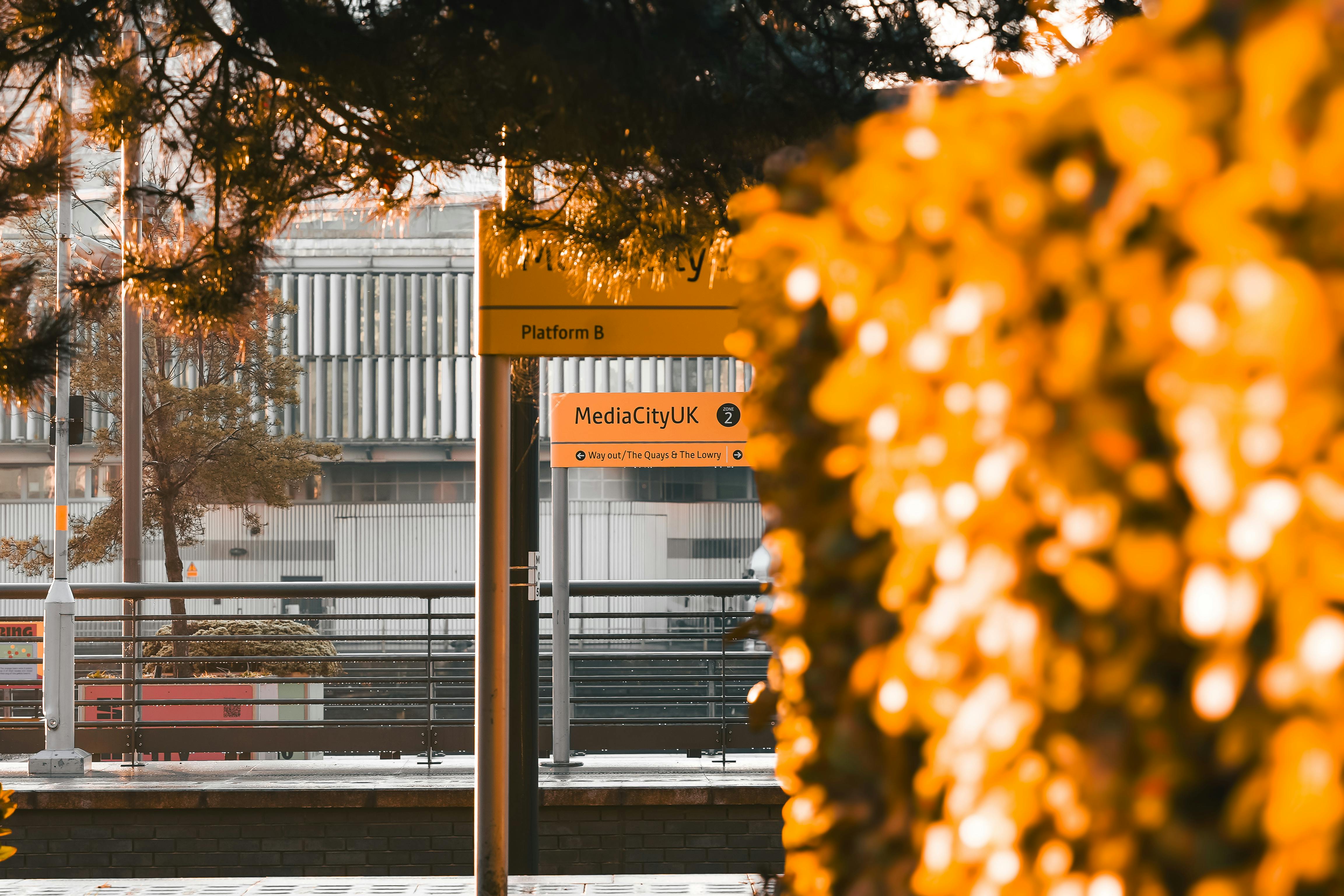 Vintage Railings Photos, Download The BEST Free Vintage Railings Stock ...