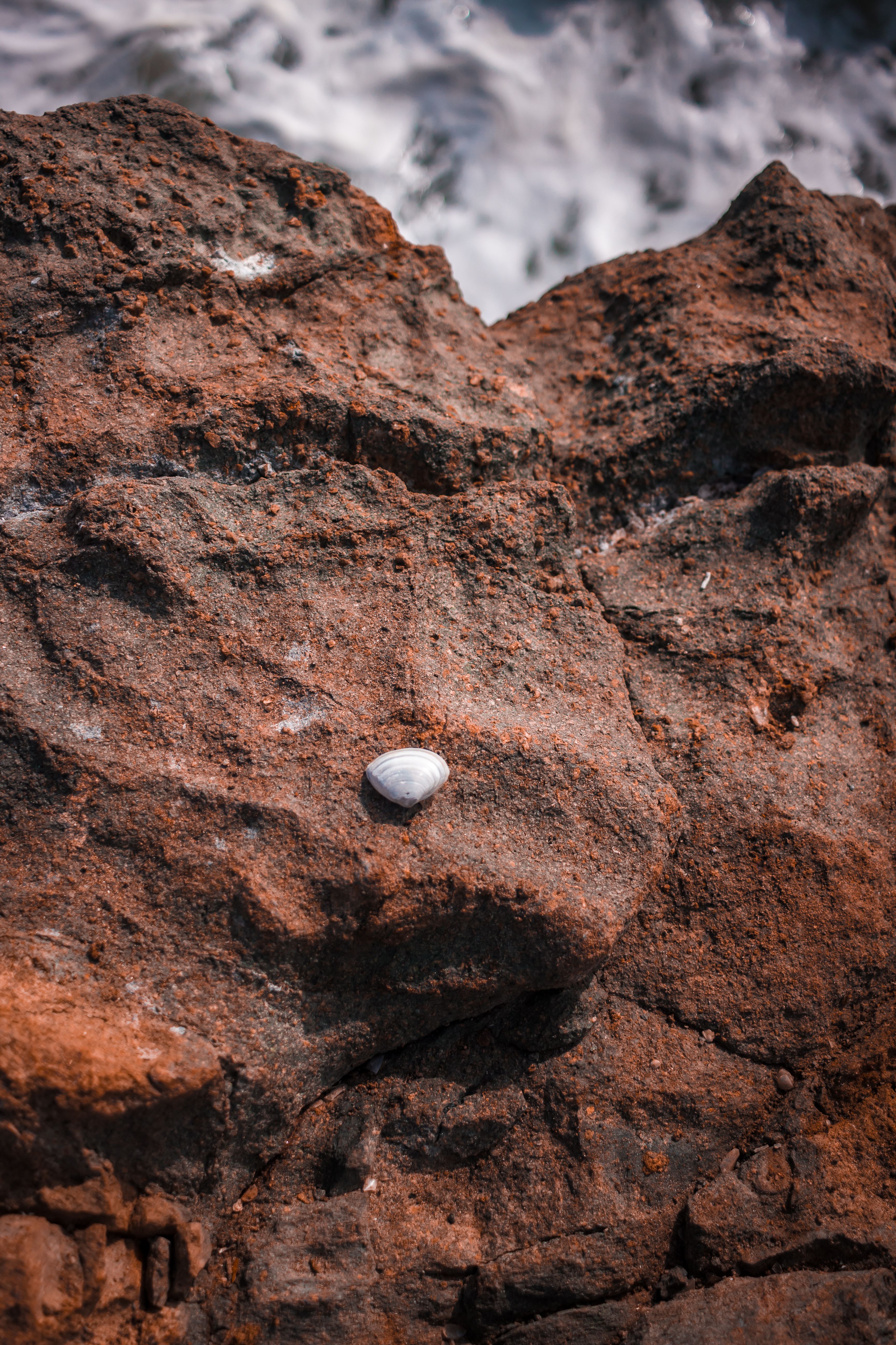 Grayscale Photography of Stone · Free Stock Photo