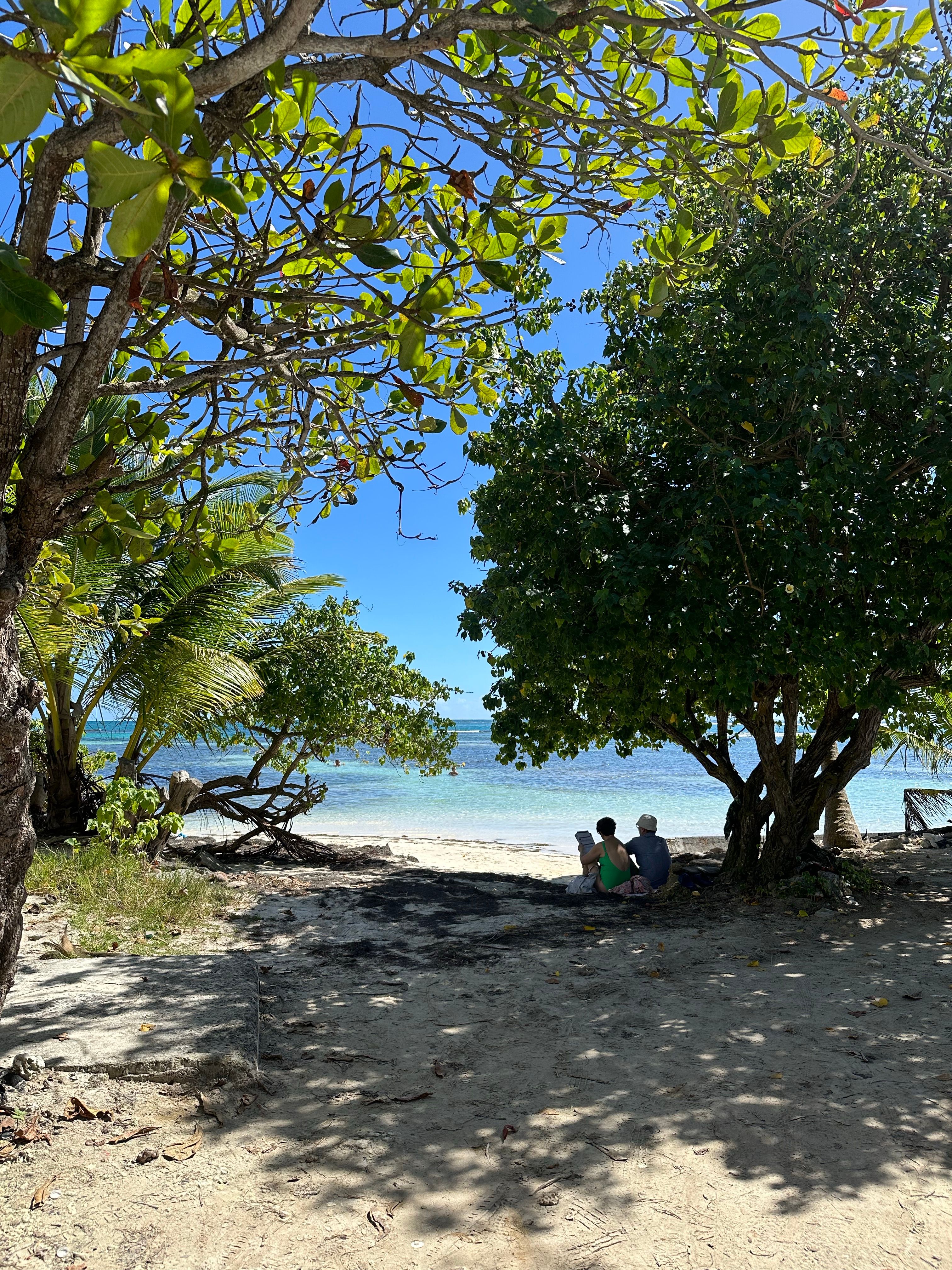 Serene Beach View with People Under Shade · Free Stock Photo