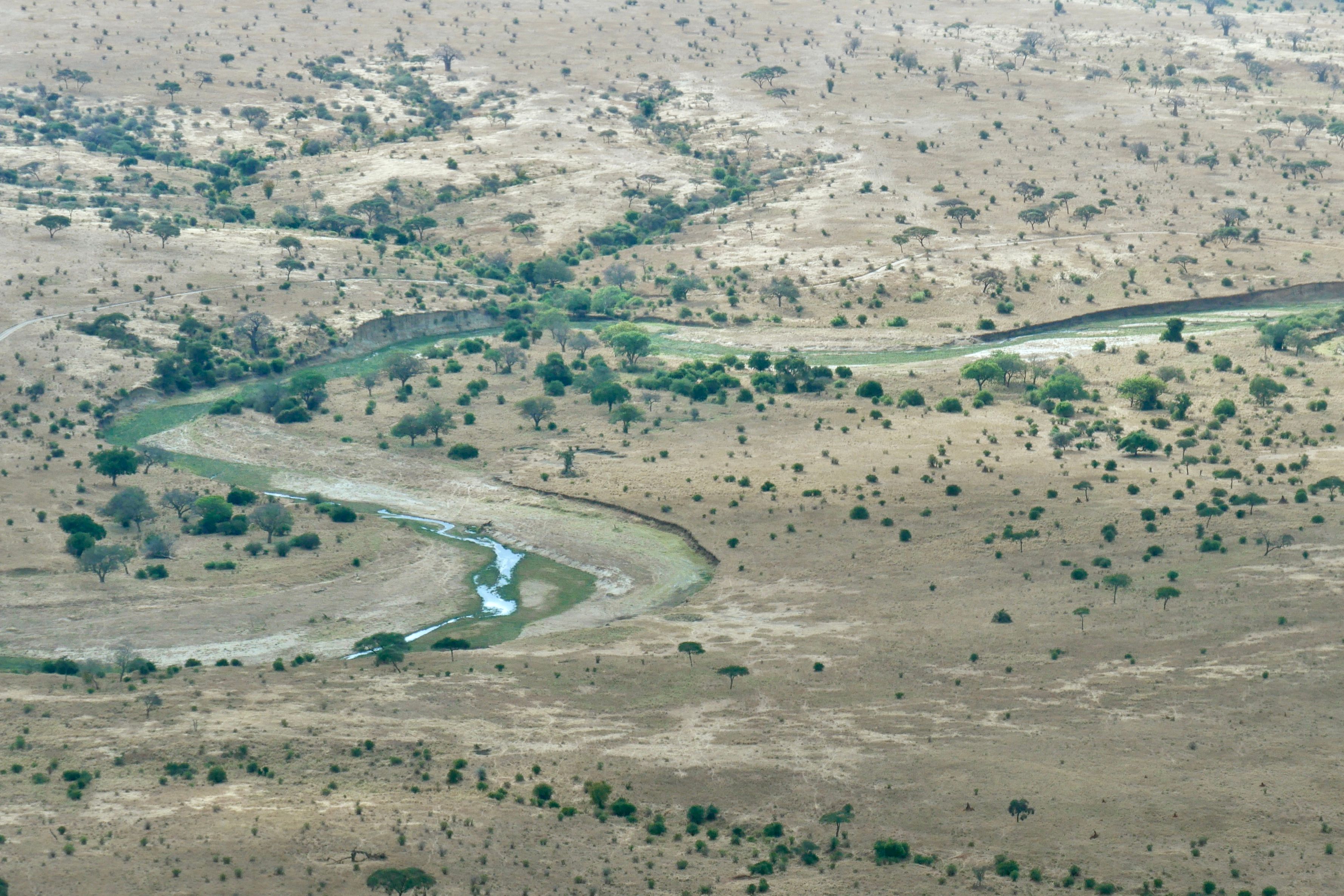 Aerial View of River in Tarangire National Park · Free Stock Photo