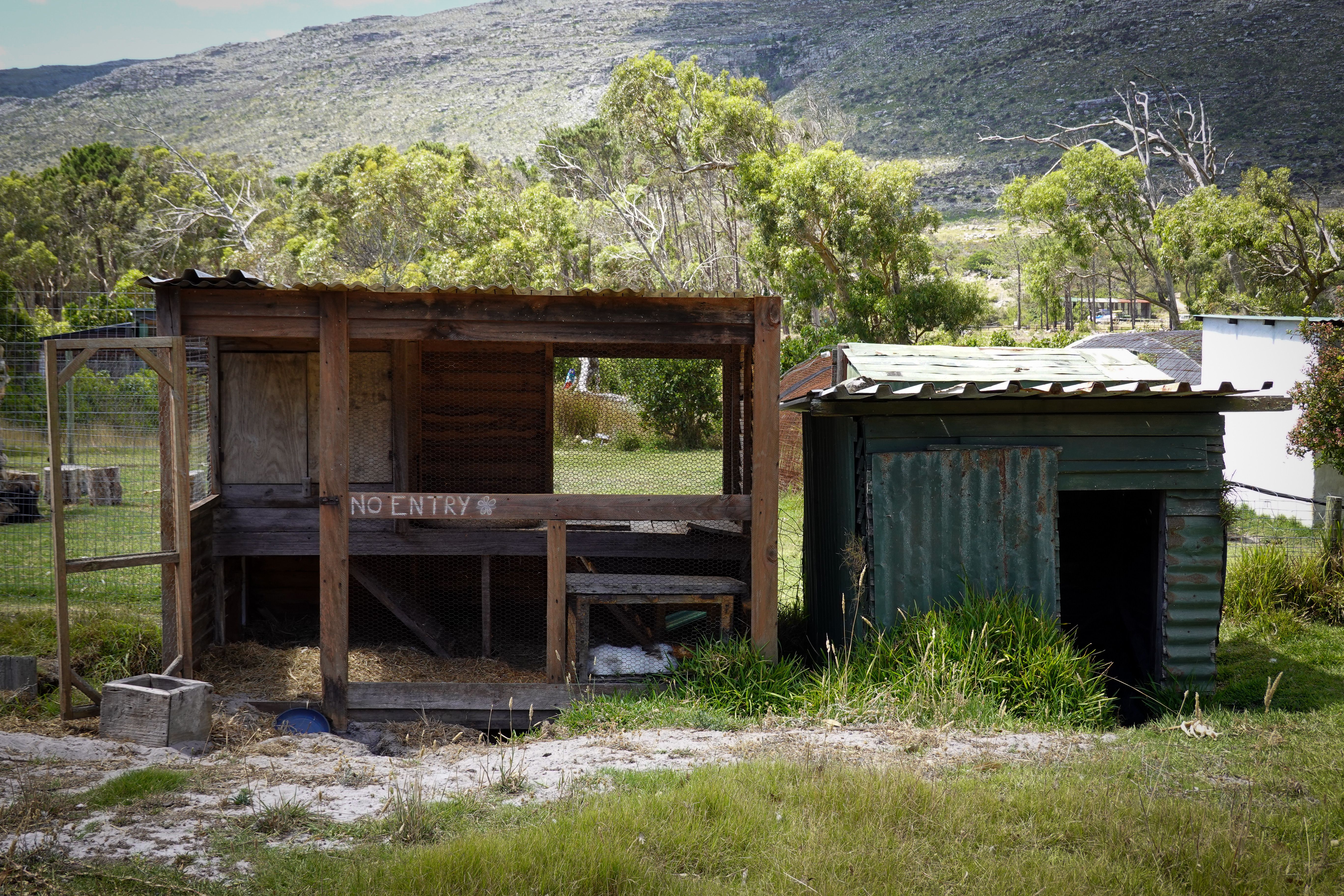 Rustic Outdoor Animal Enclosure in Countryside Scenery · Free Stock Photo