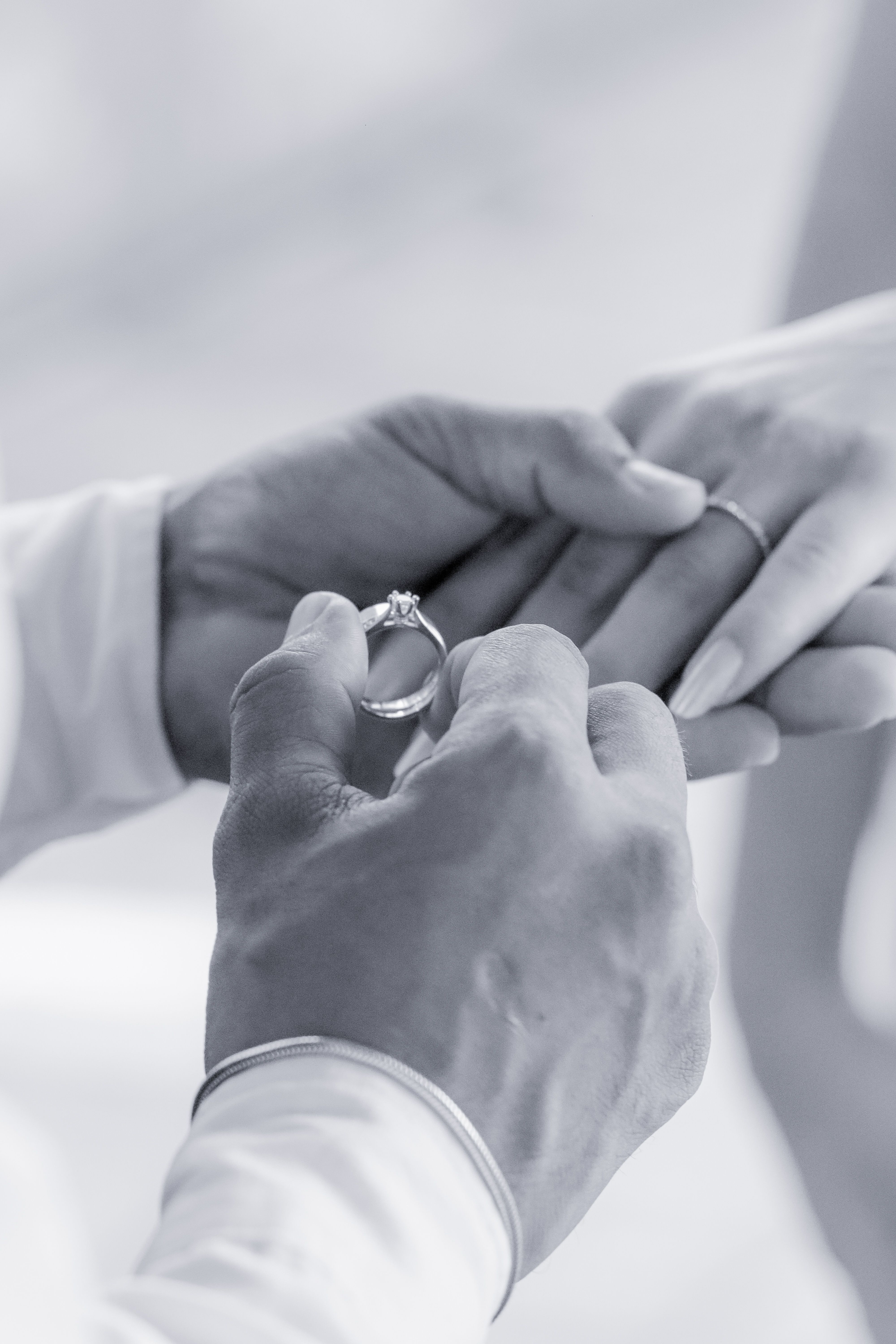 Engagement Ring Photos, Download The BEST Free Engagement Ring Stock ...