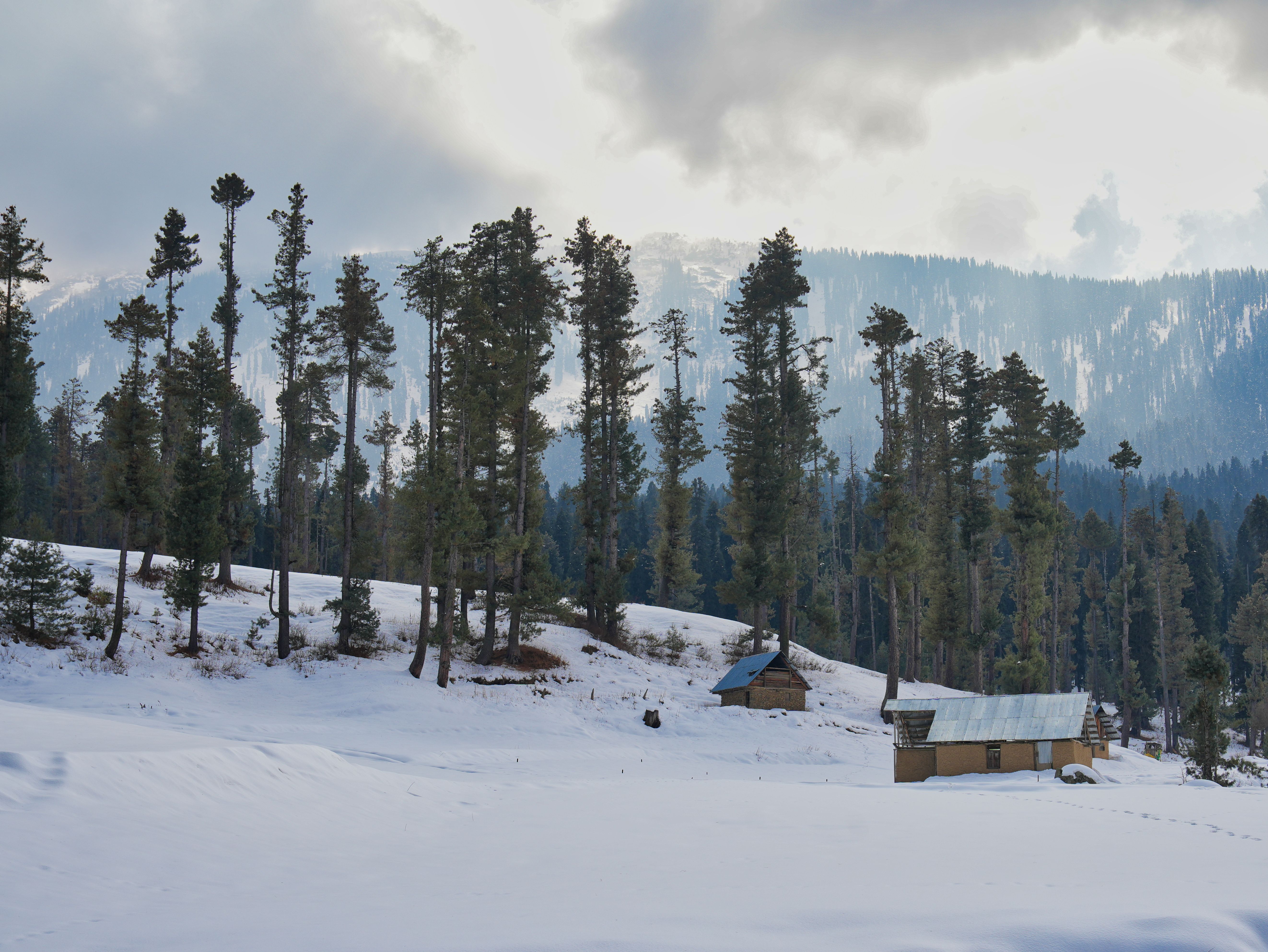 Scenic Winter Landscape in Gogaldara, Kashmir · Free Stock Photo