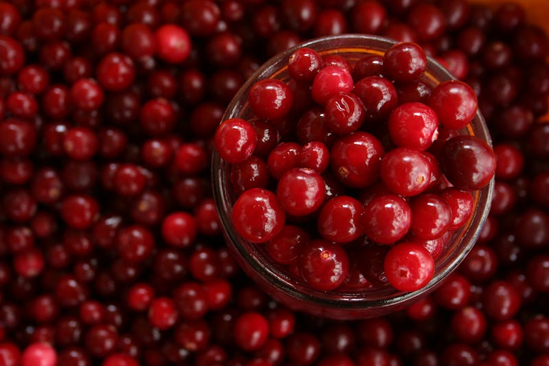 Cranberry Photos, Download The BEST Free Cranberry Stock Photos & HD Images