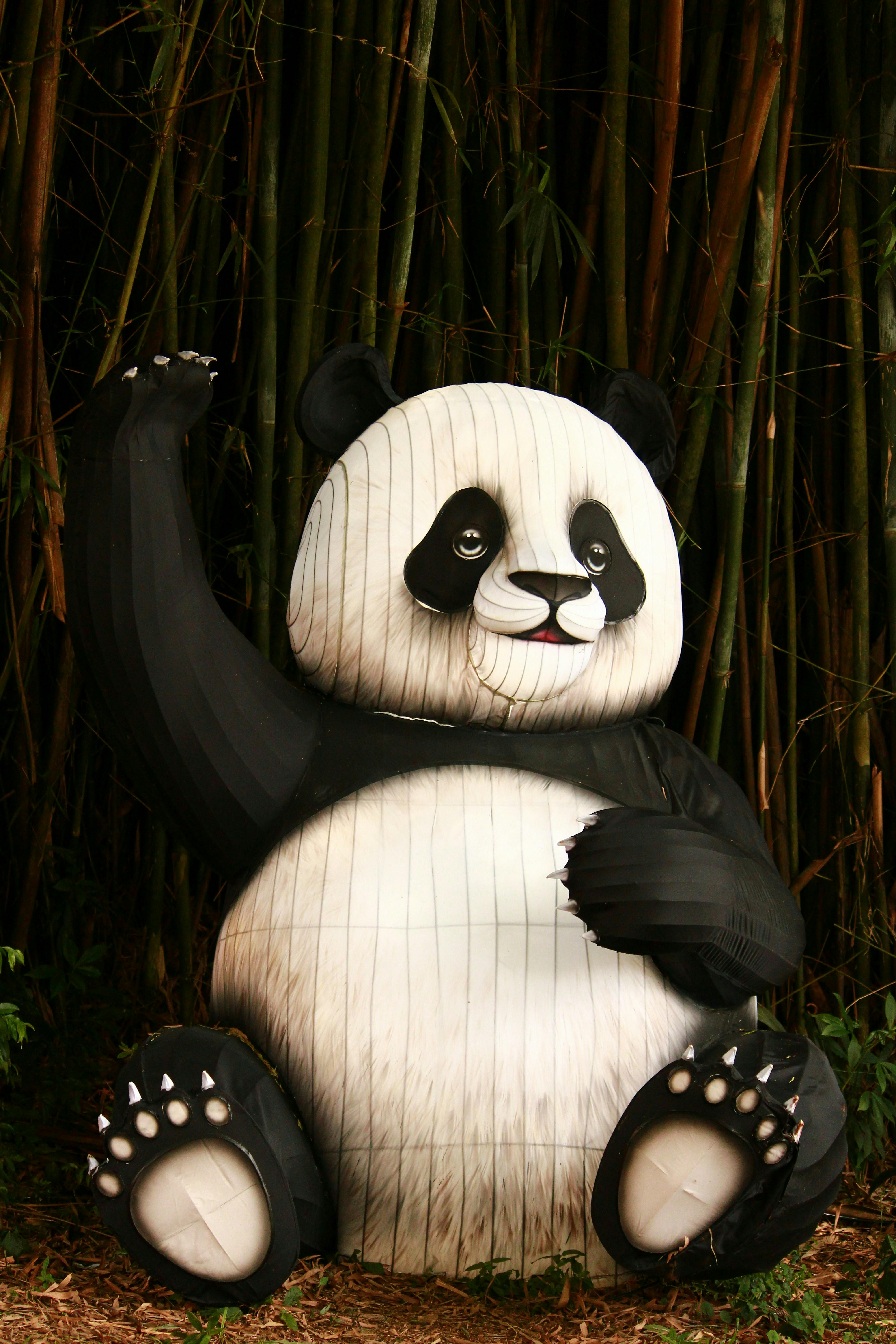 Giant panda statue in bamboo background · Free Stock Photo