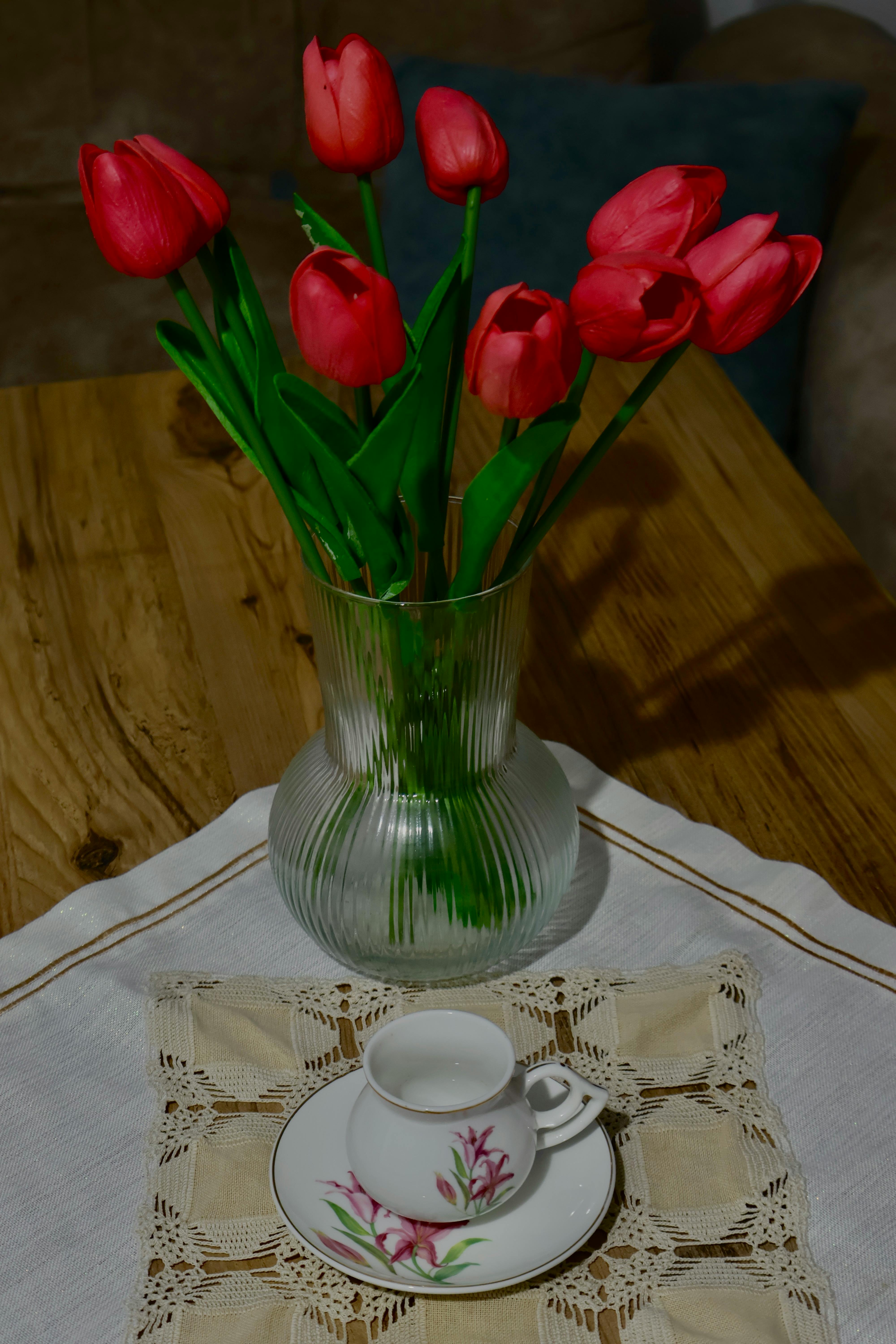 Foto de stock gratuita sobre ambiente interior, arreglo de plantas ...