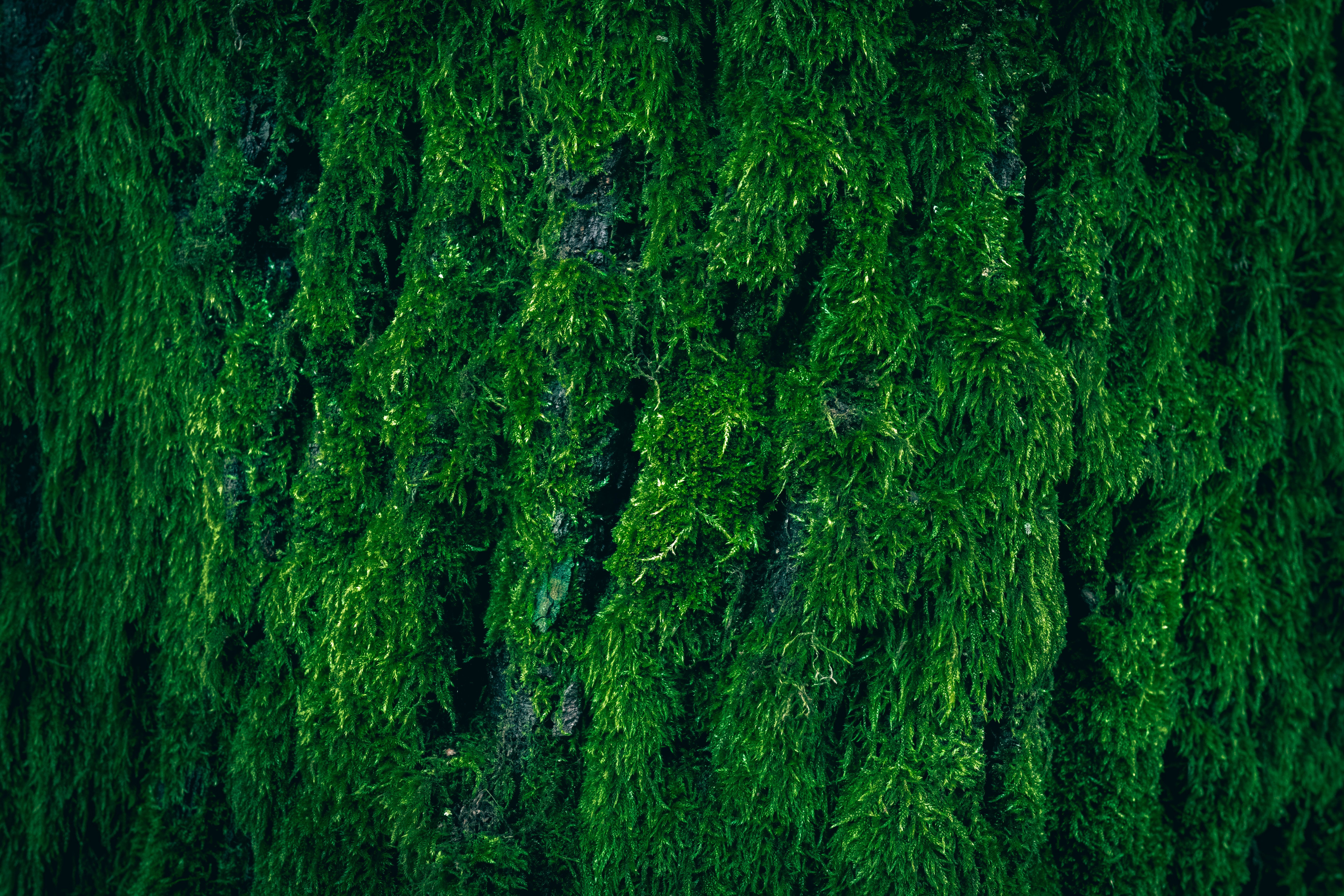 Excel Green Dark Wallpaper Photos, Download The BEST Free Excel Green ...
