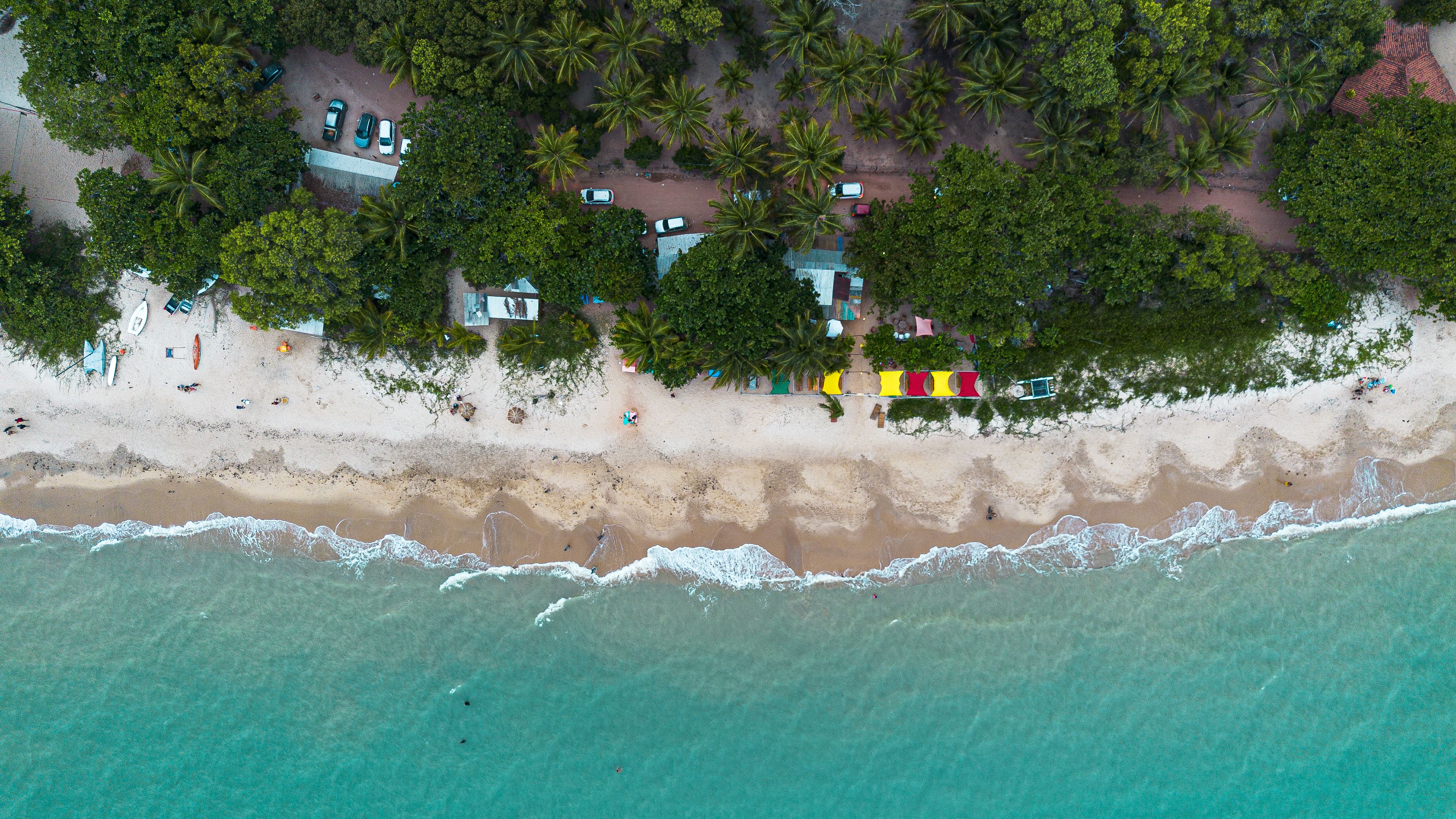 Aerial View of Bahia Beach with Coconut Trees · Free Stock Photo