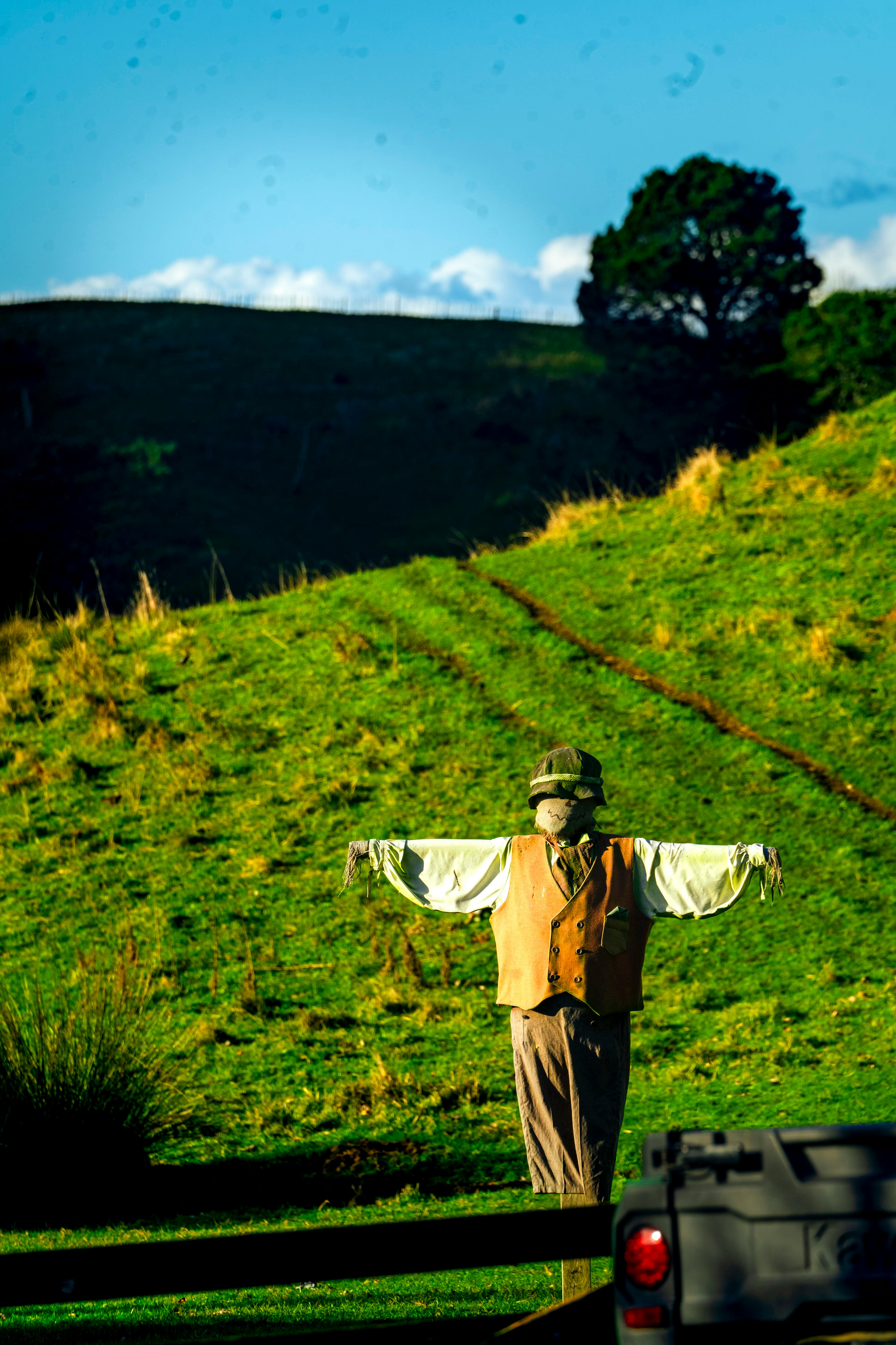 Scarecrow in Lush Matamata New Zealand Hillside · Free Stock Photo