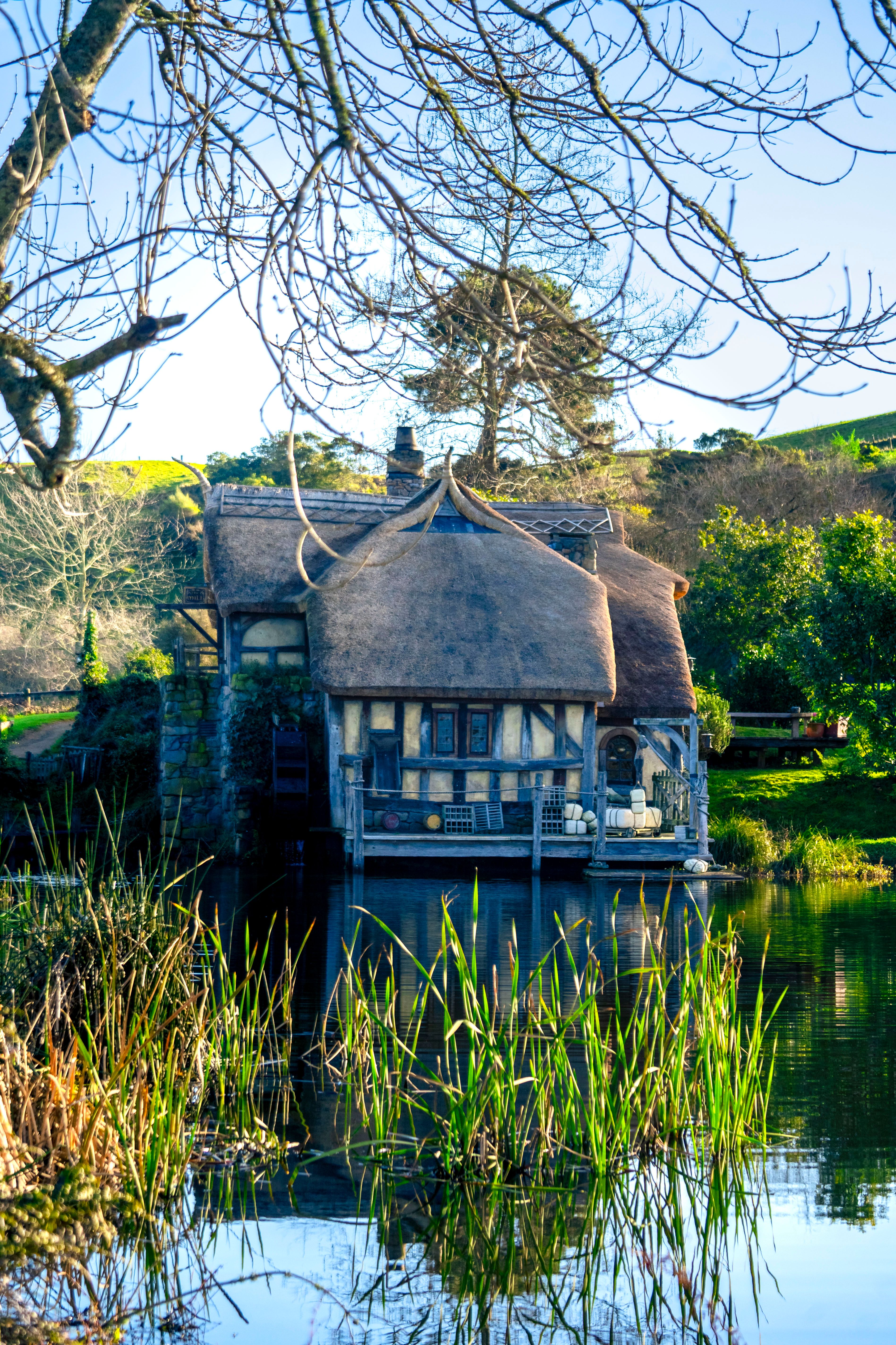 Idyllic Hobbiton Landscape in Matamata, New Zealand · Free Stock Photo