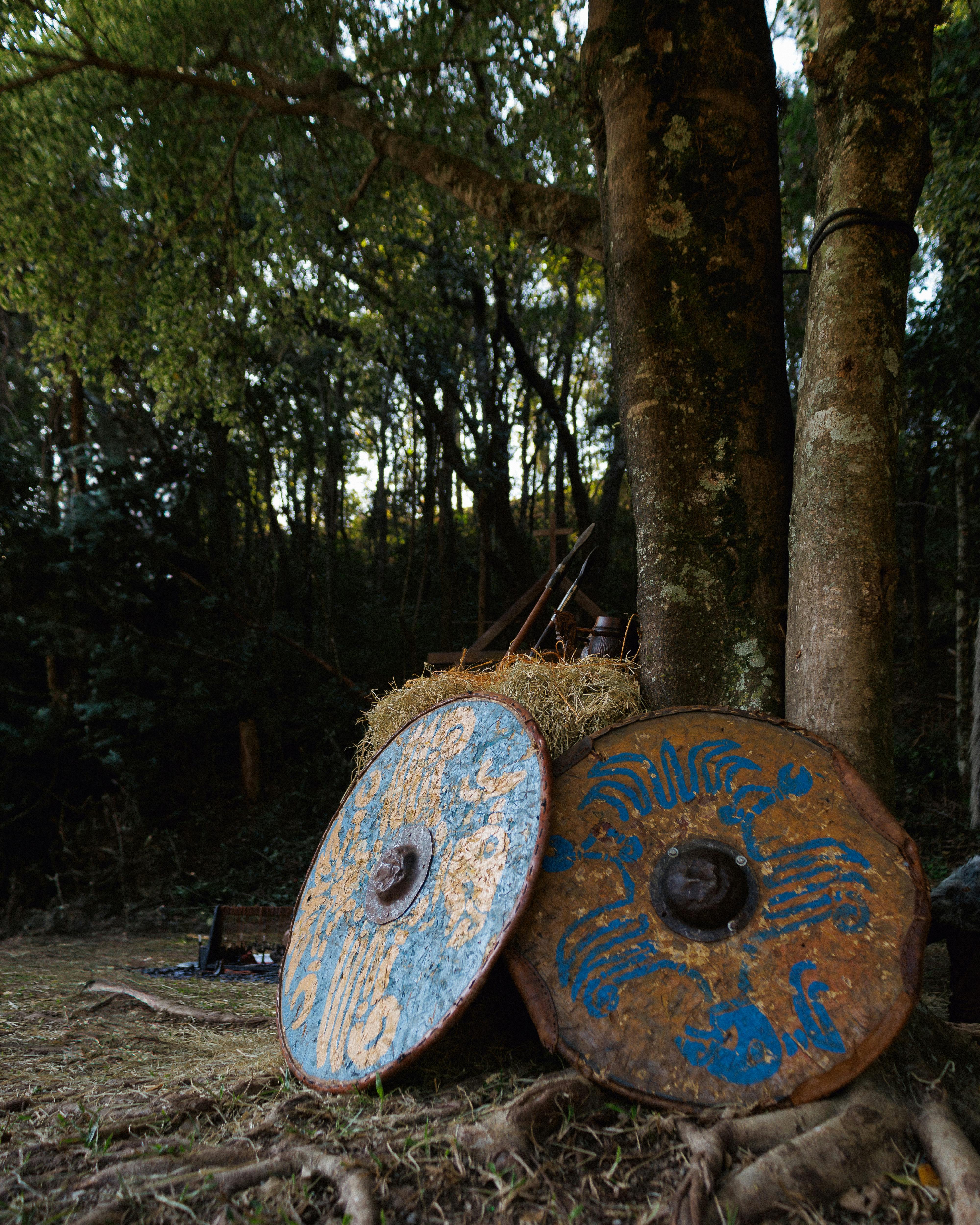 Viking Shields Resting Against Trees in Forest · Free Stock Photo
