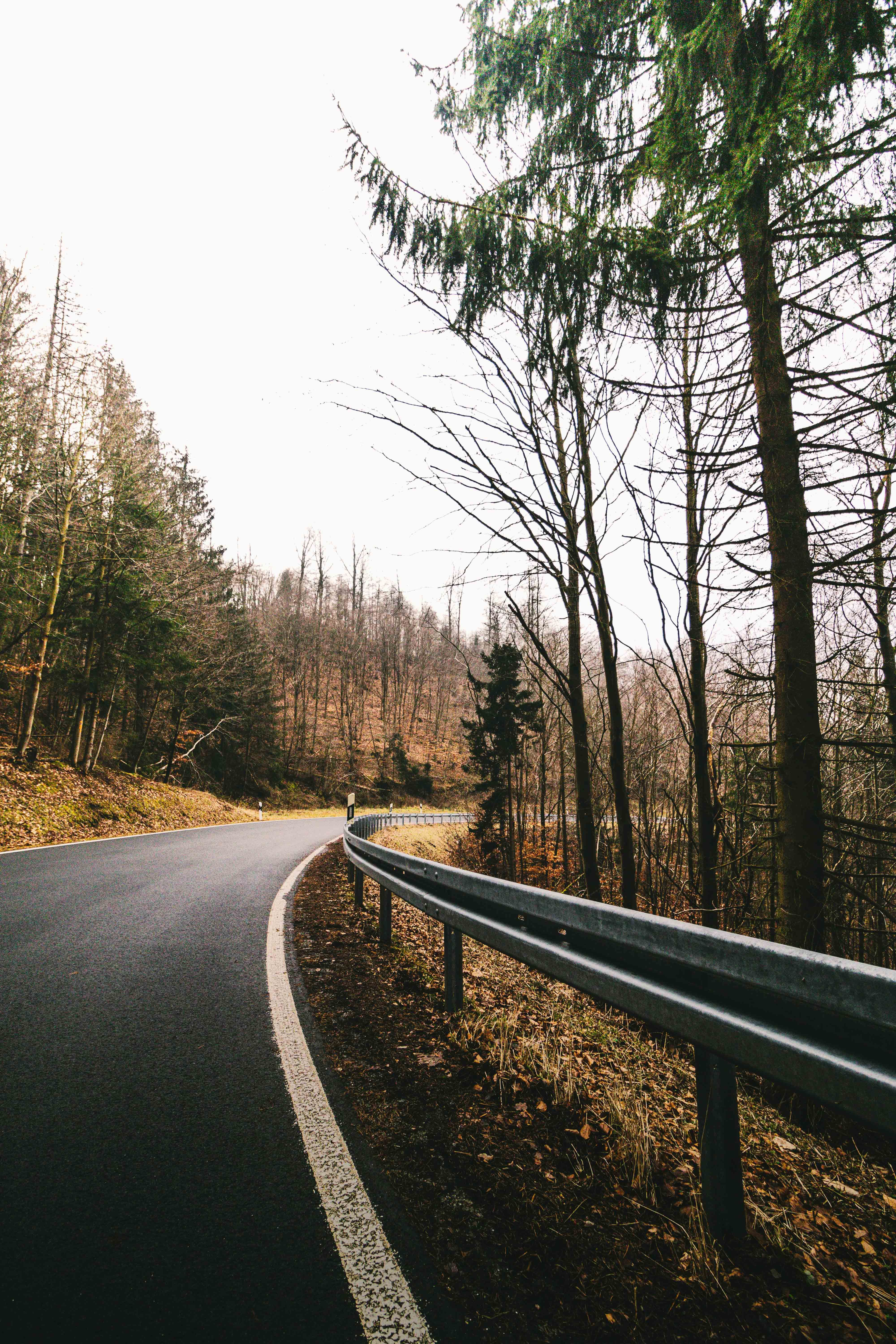 Scenic Curved Forest Road in Late Autumn · Free Stock Photo