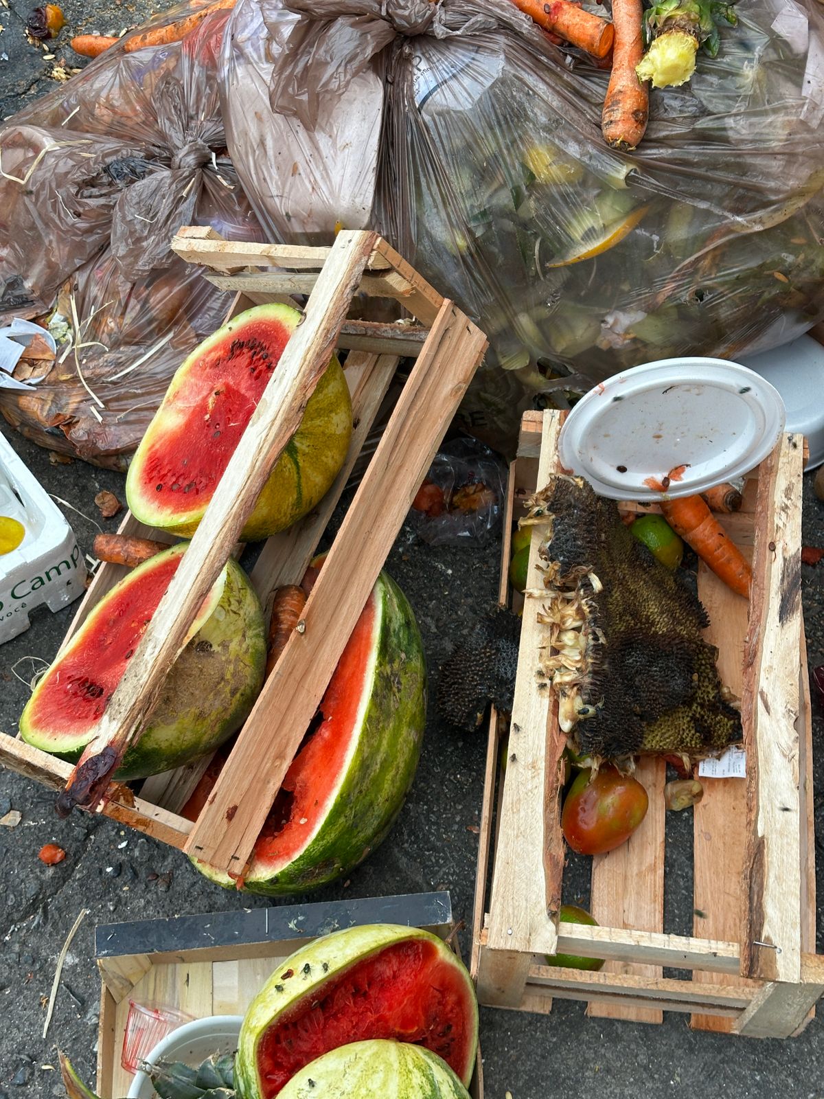 Food Waste Photos, Download The BEST Free Food Waste Stock Photos & HD ...