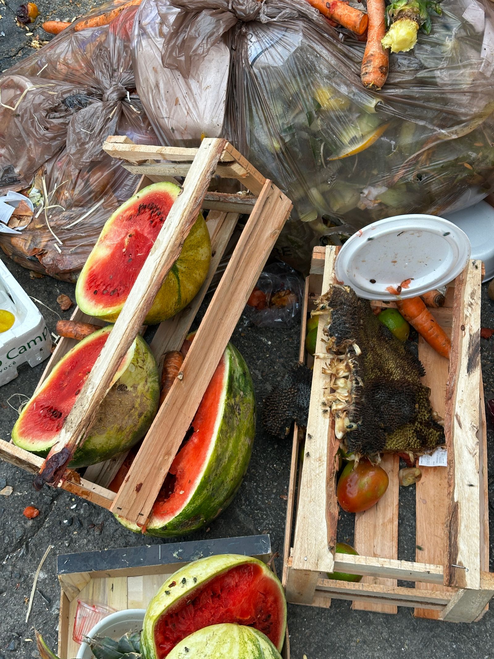 Food Waste Photos, Download The BEST Free Food Waste Stock Photos & HD ...