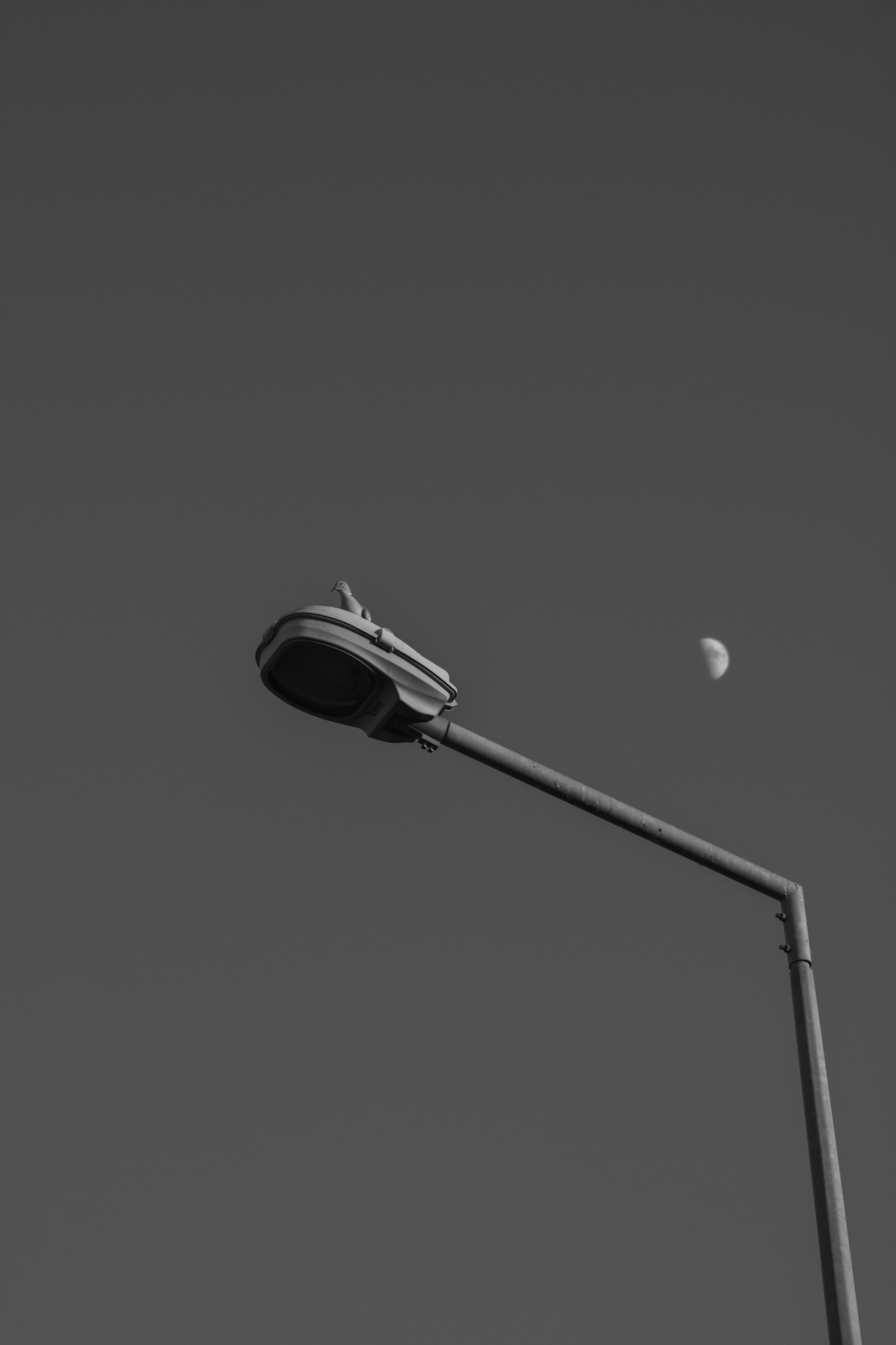 Street Lamp Meets the Moon in Urban Night Sky · Free Stock Photo