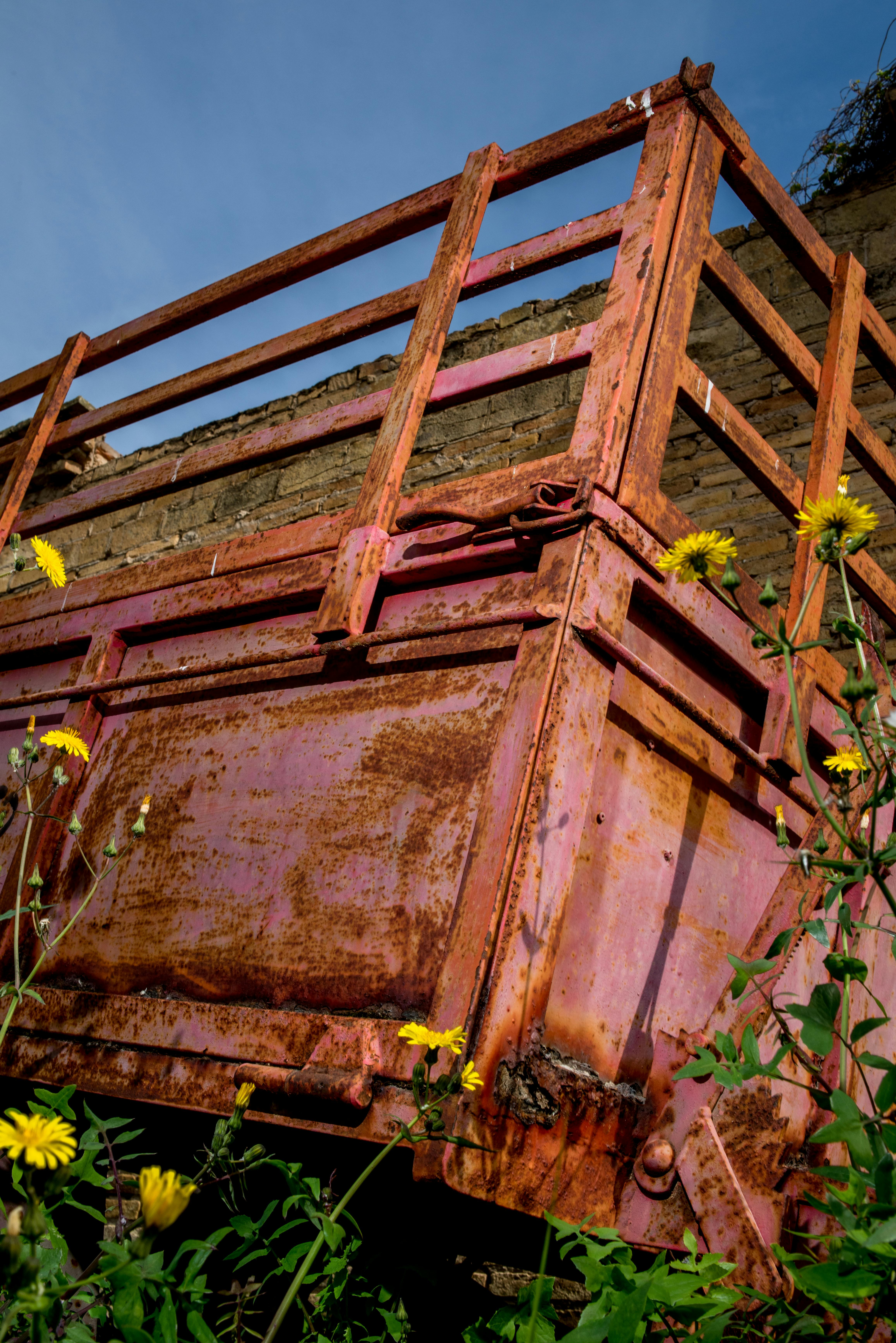 Rusty Truck Bed with Wildflowers and Blue Sky · Free Stock Photo