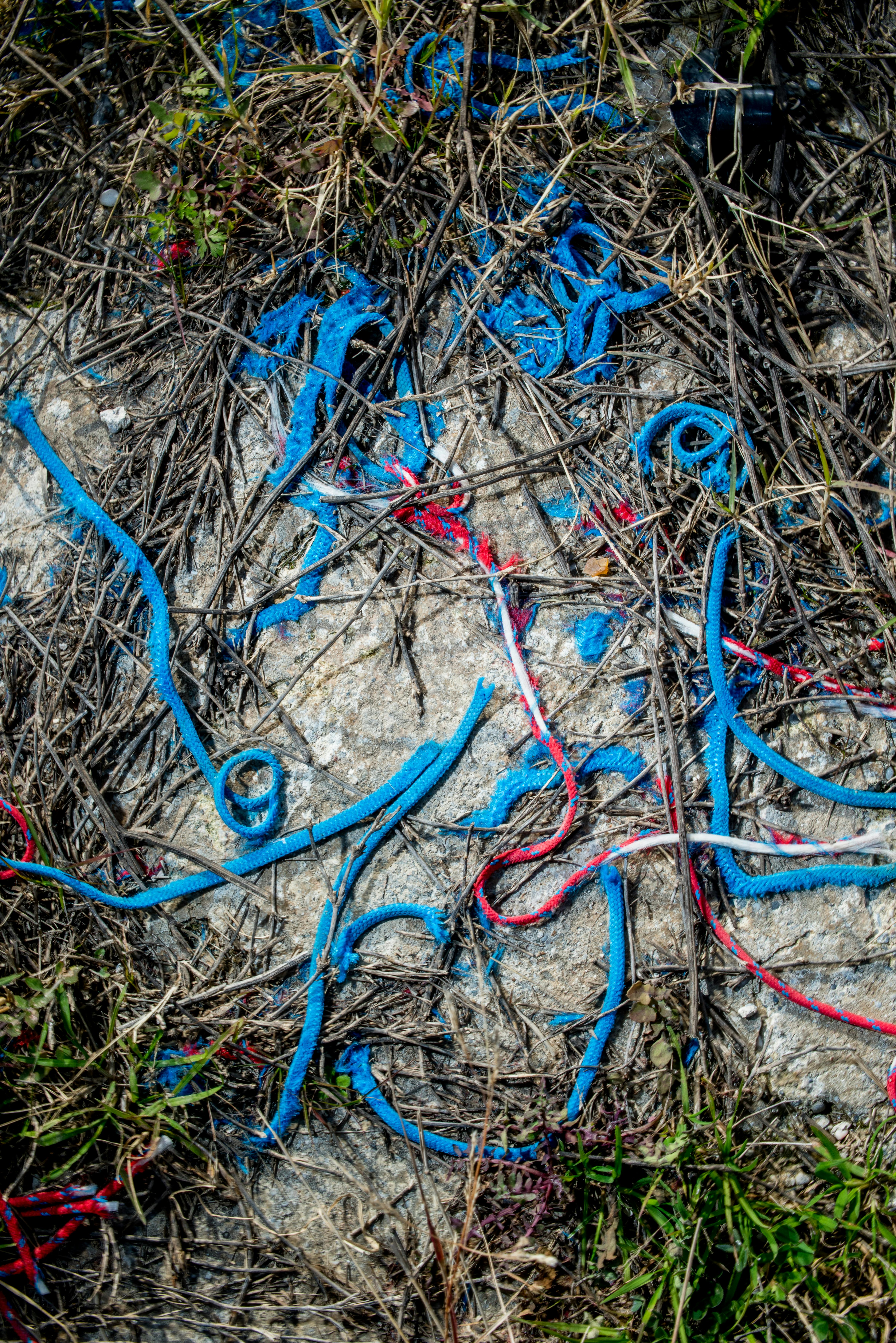 Colorful Cables Entangled in Outdoor Grass · Free Stock Photo