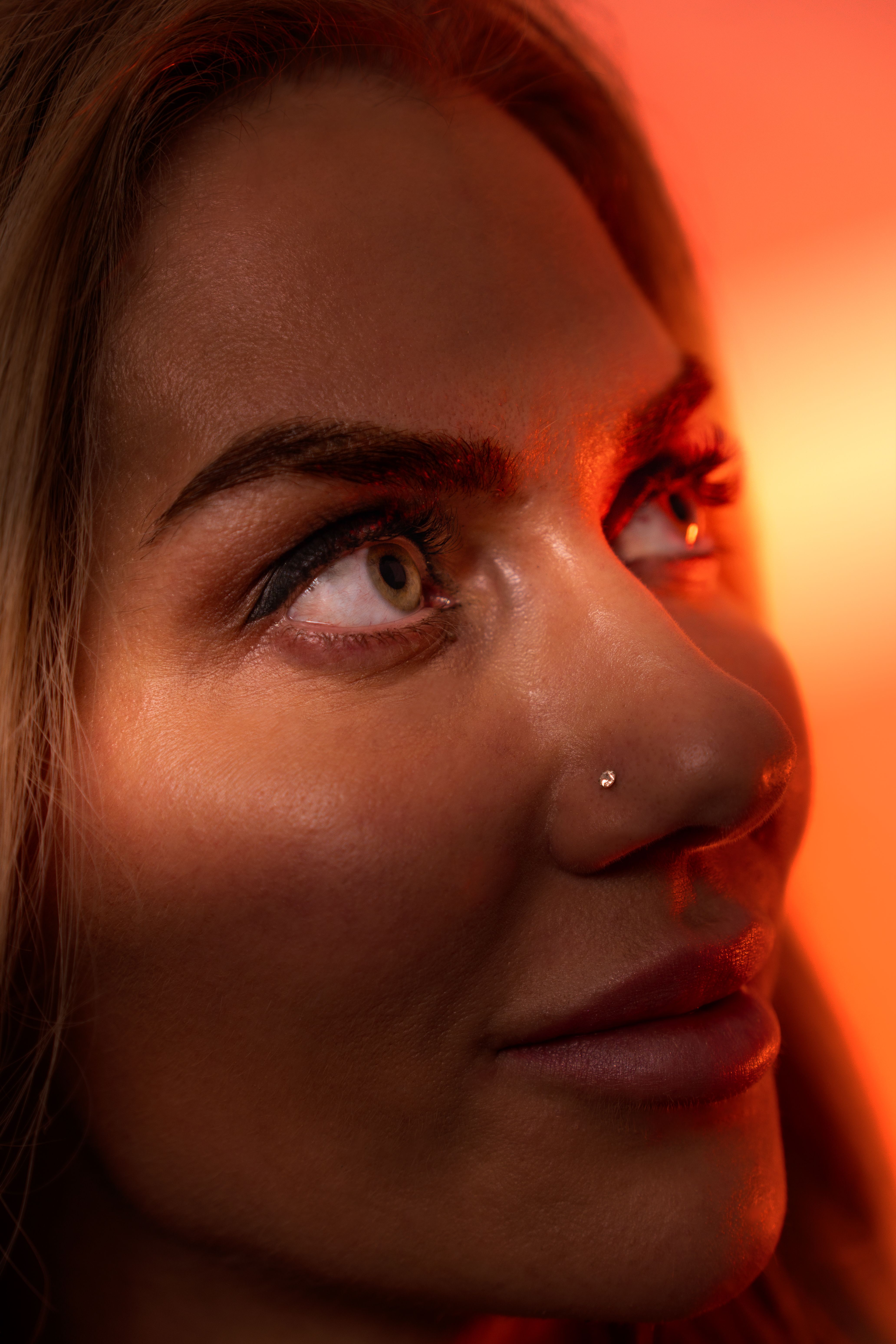 Close-Up Portrait of Woman in Warm Lighting · Free Stock Photo
