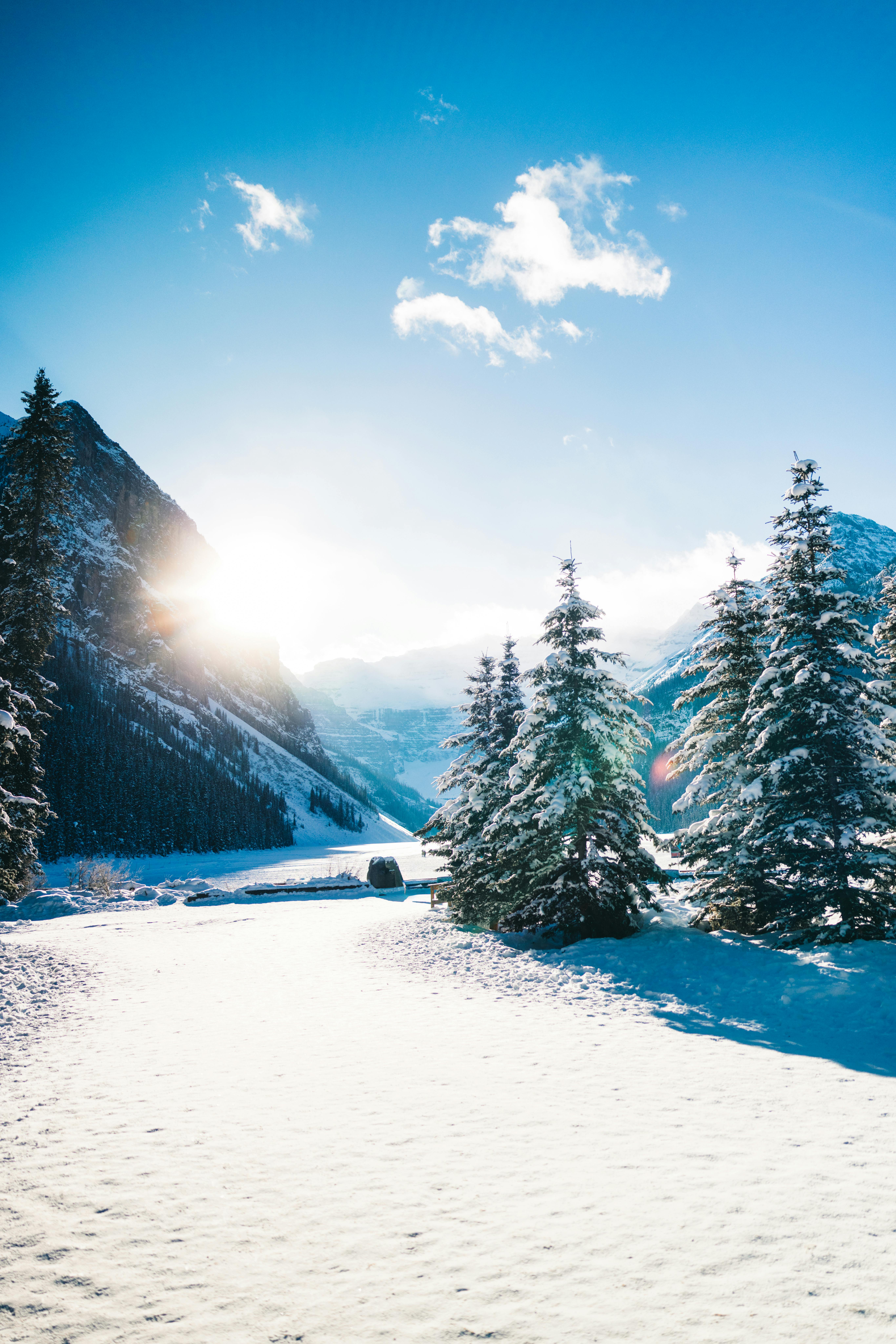 Winter Wonderland in Banff National Park · Free Stock Photo