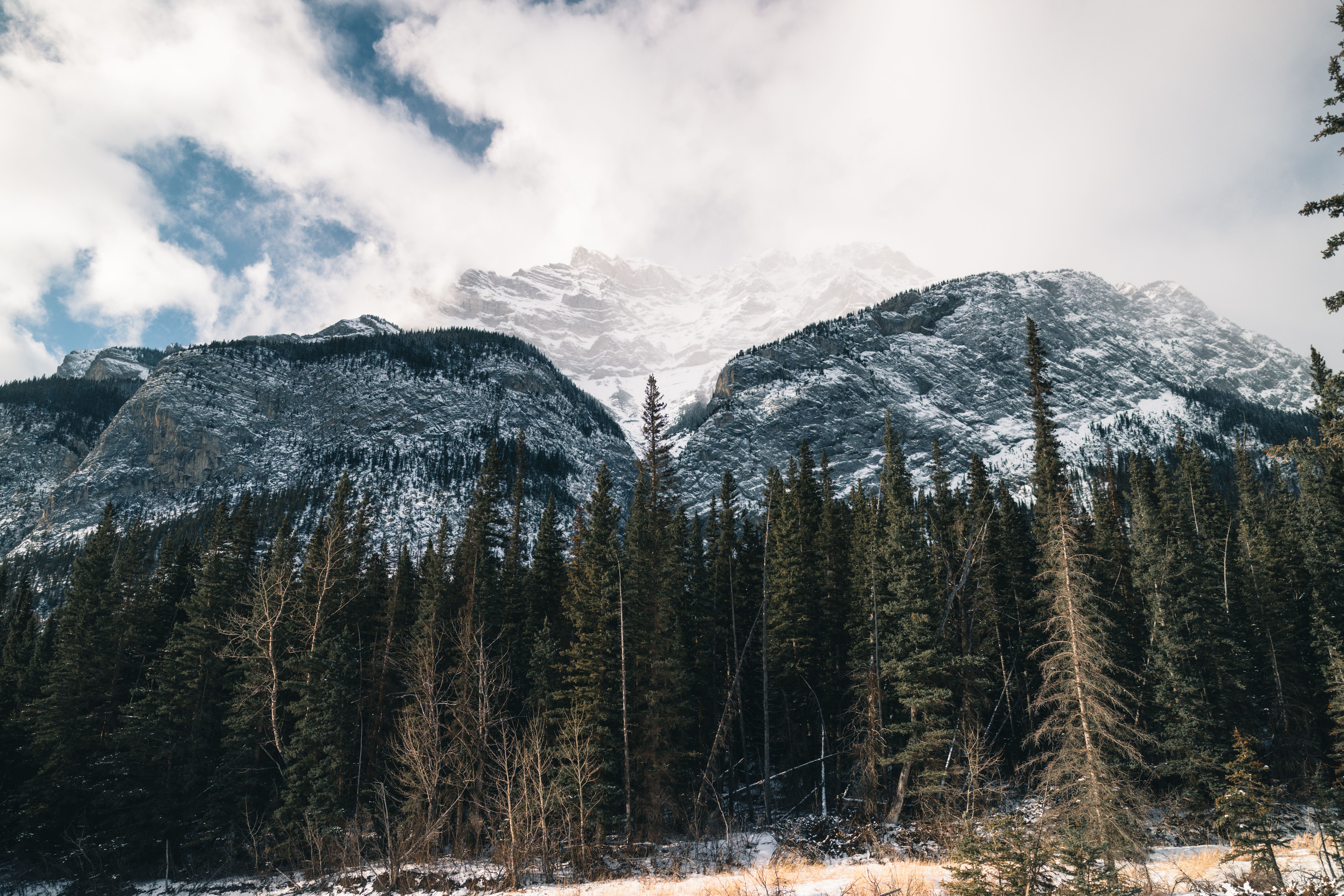 Snow-Capped Mountains in Banff National Park · Free Stock Photo