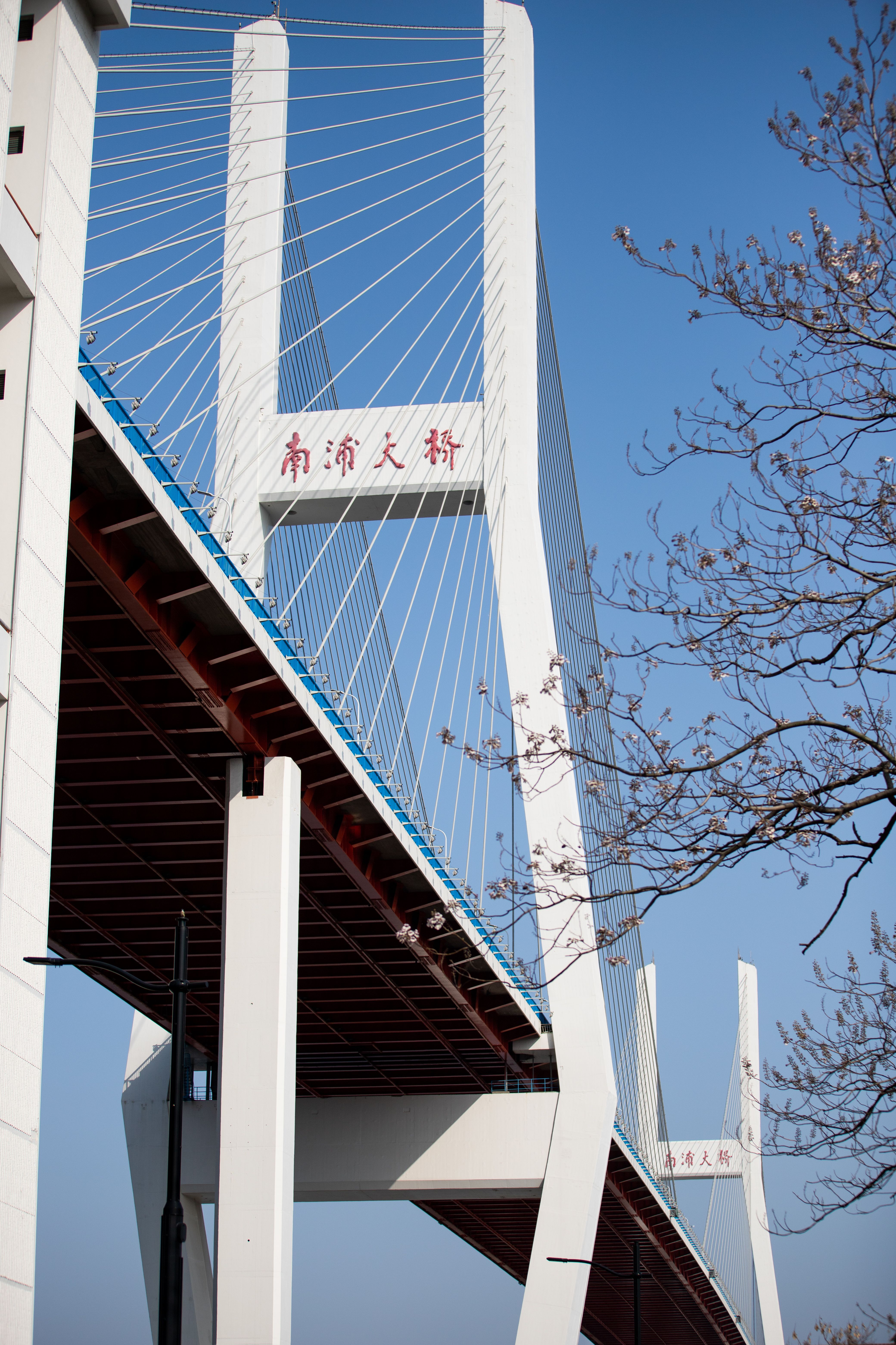 Elegant Nanpu Bridge with Clear Blue Sky · Free Stock Photo
