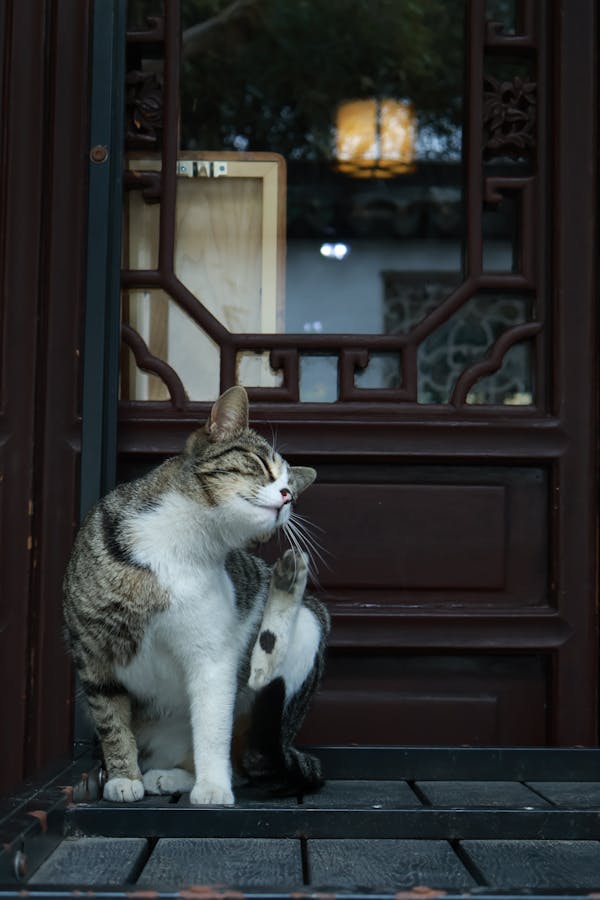 Scratch Photos, Download The BEST Free Scratch Stock Photos & HD Images