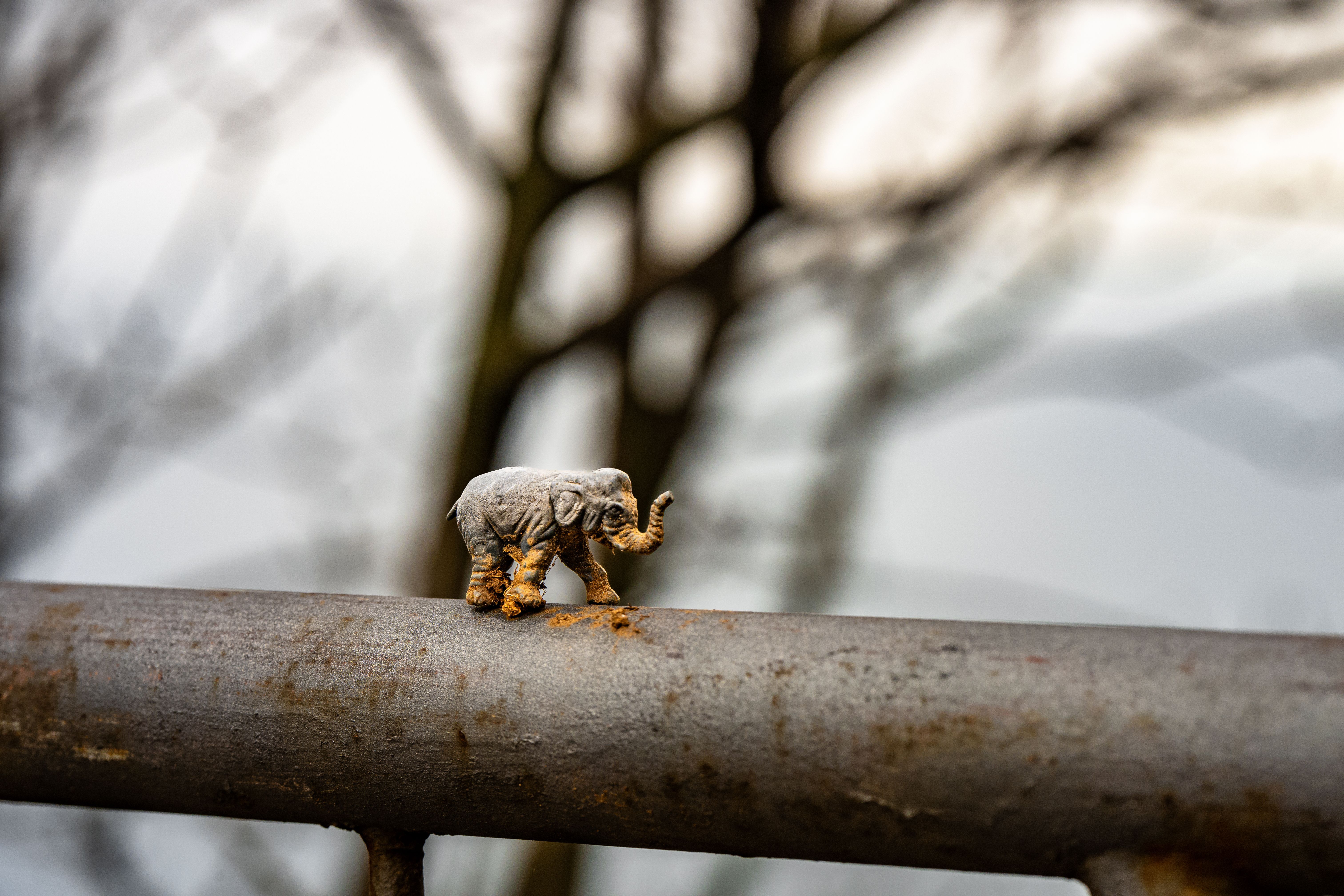 Miniature Elephant on Rusty Metal Rail Outdoors · Free Stock Photo