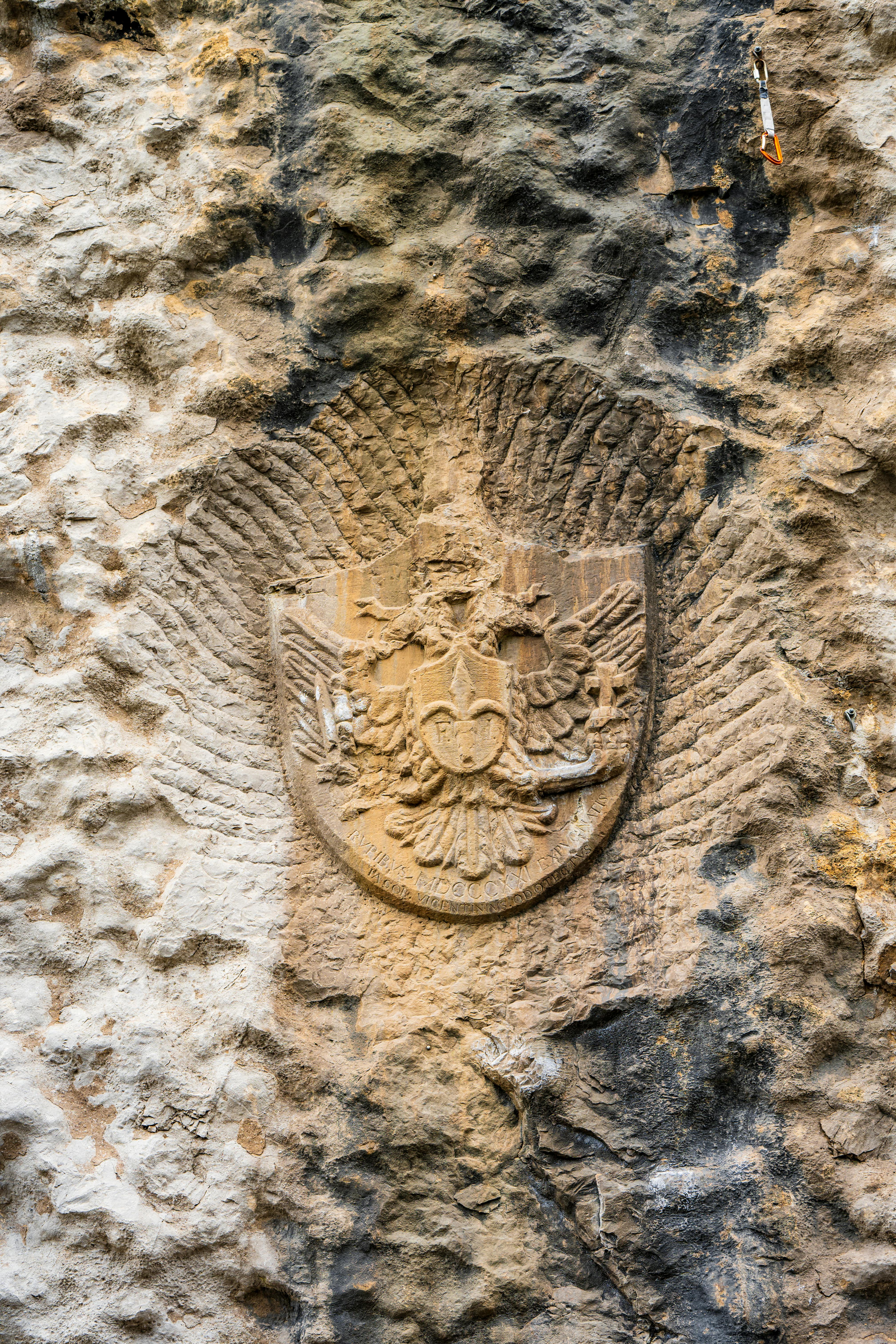 Ancient Stone Carved Emblem in Trieste Italy · Free Stock Photo