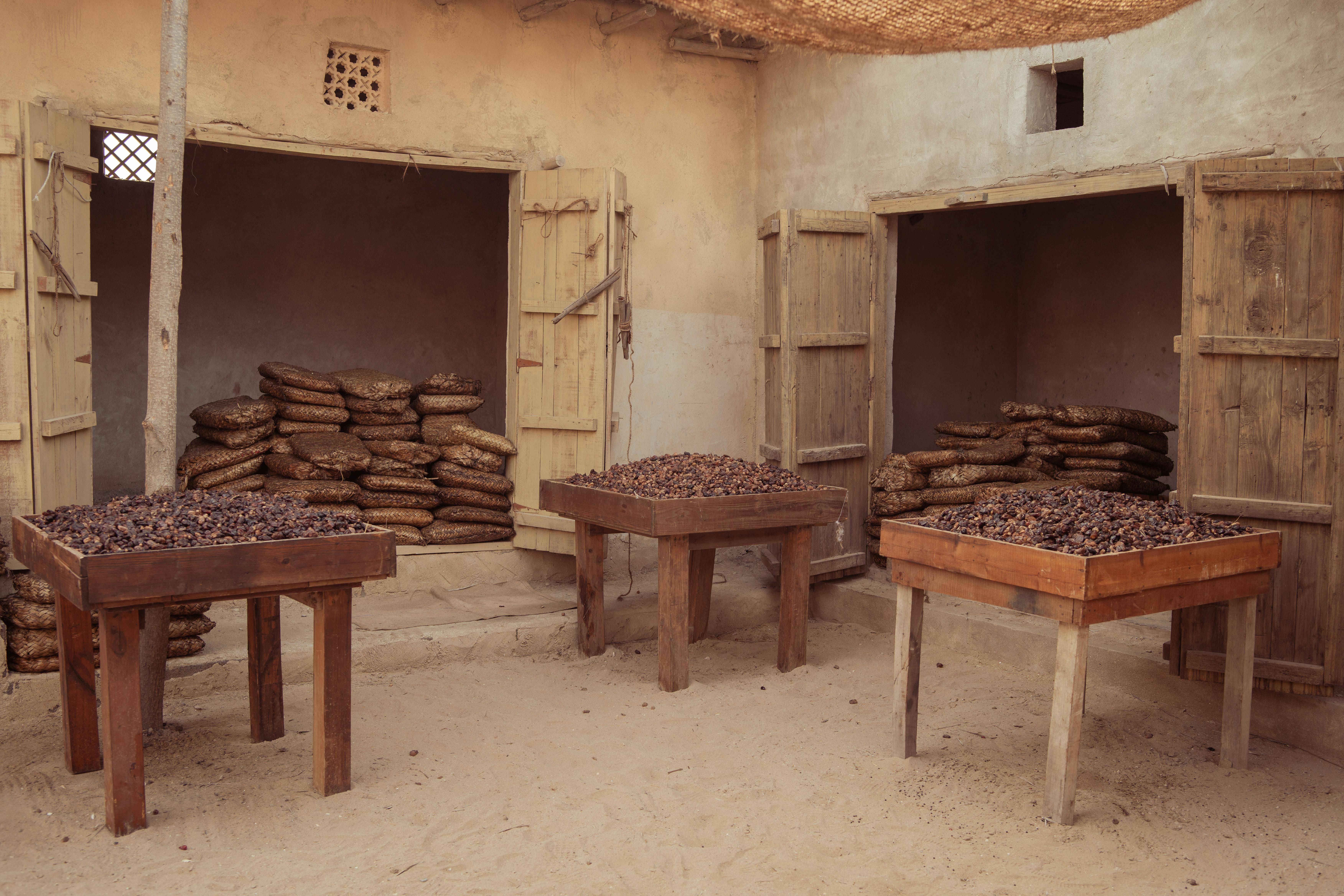 Traditional Outdoor Drying of Dates in Rustic Shed · Free Stock Photo