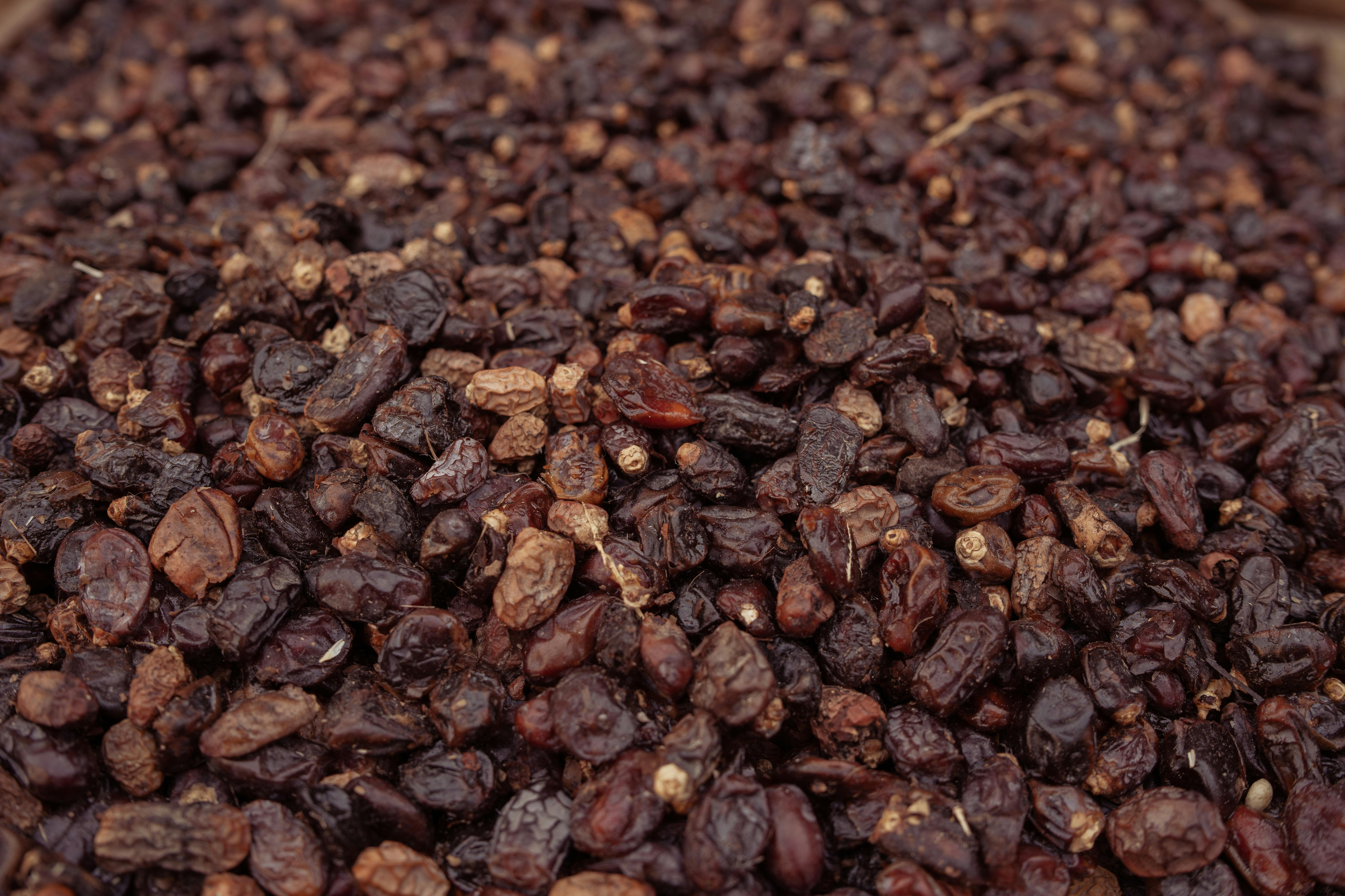 Close-up of a Pile of Dried Dark Raisins · Free Stock Photo