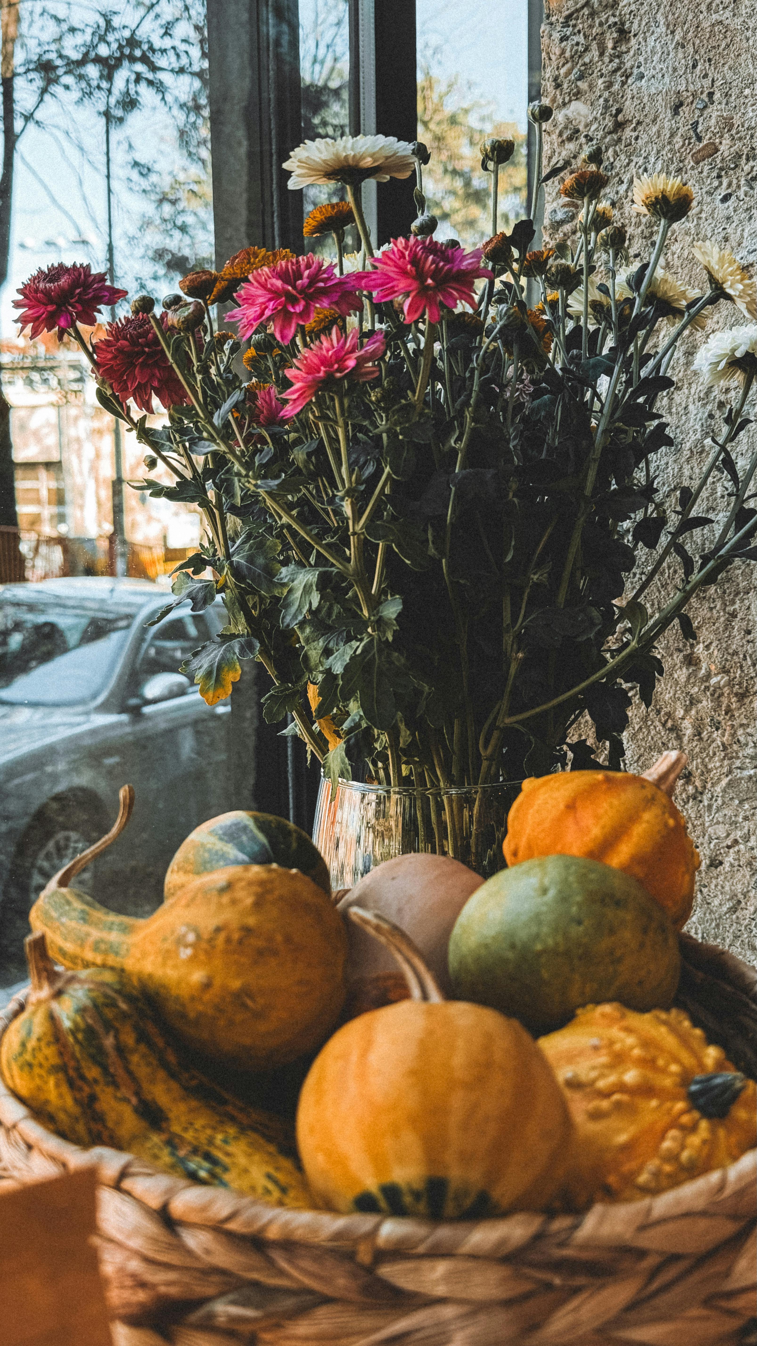 Gourds Texture Photos, Download The BEST Free Gourds Texture Stock ...