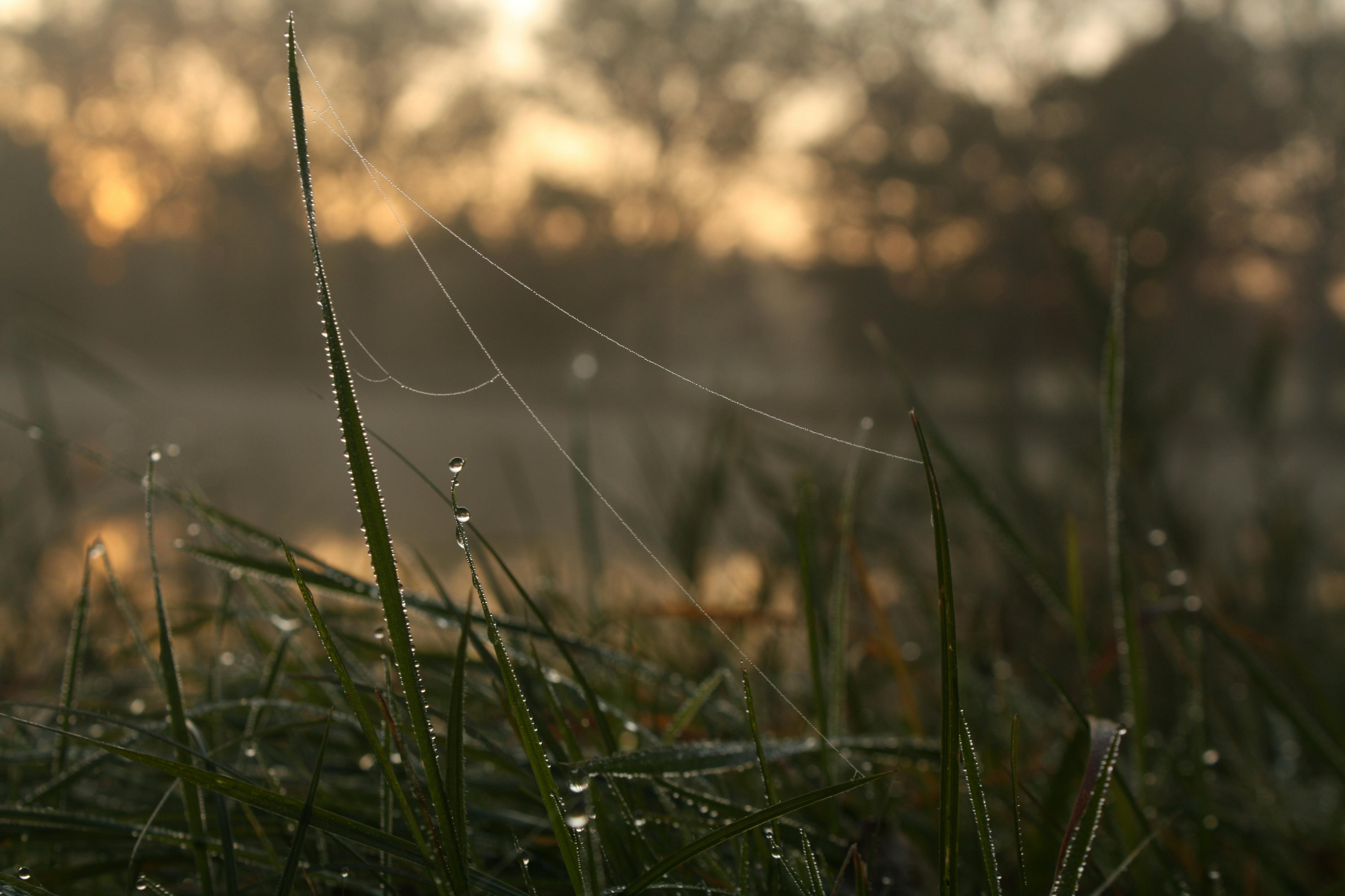 String Thong Photos, Download The BEST Free String Thong Stock Photos ...