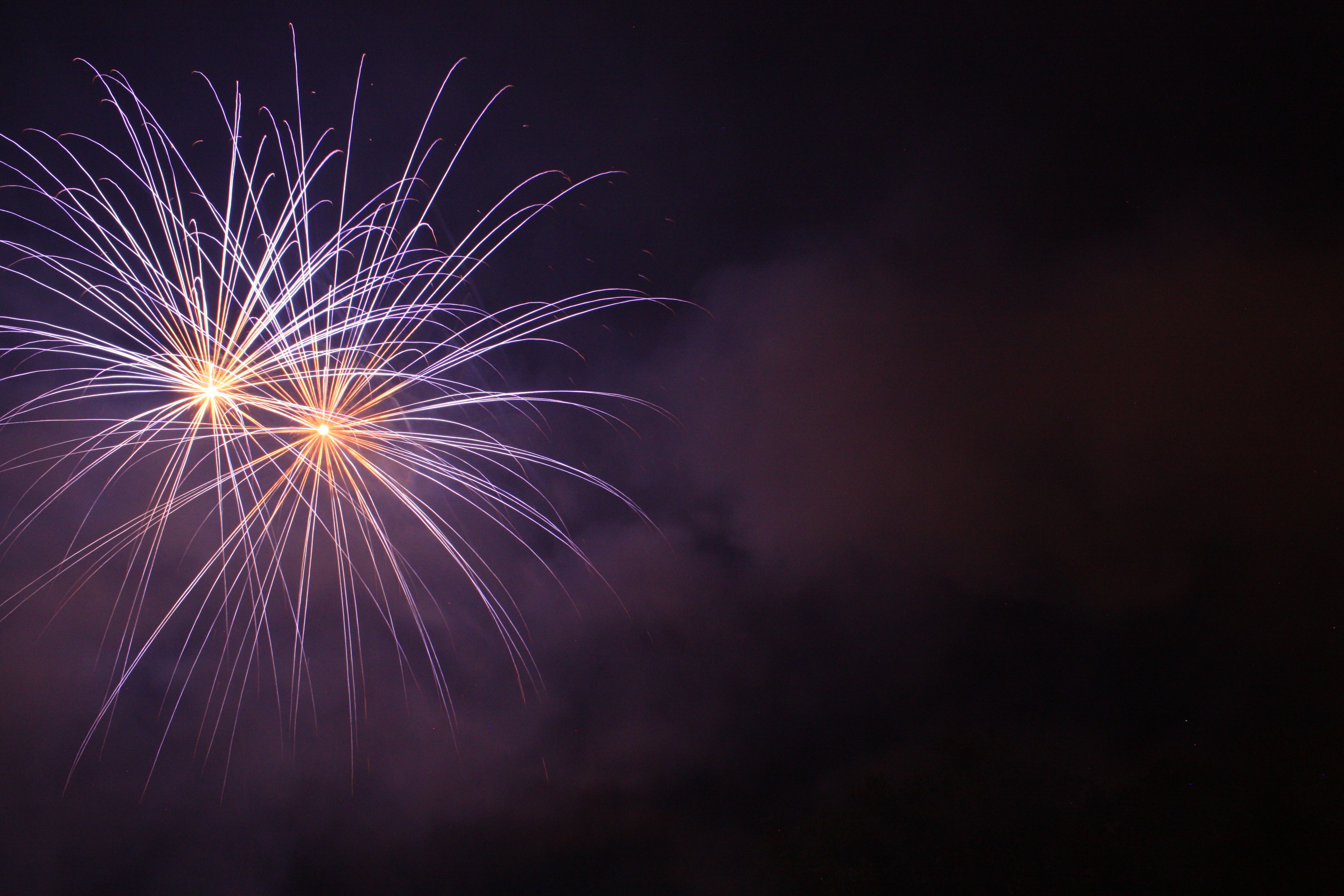 Fireworks Display Above Trees · Free Stock Photo
