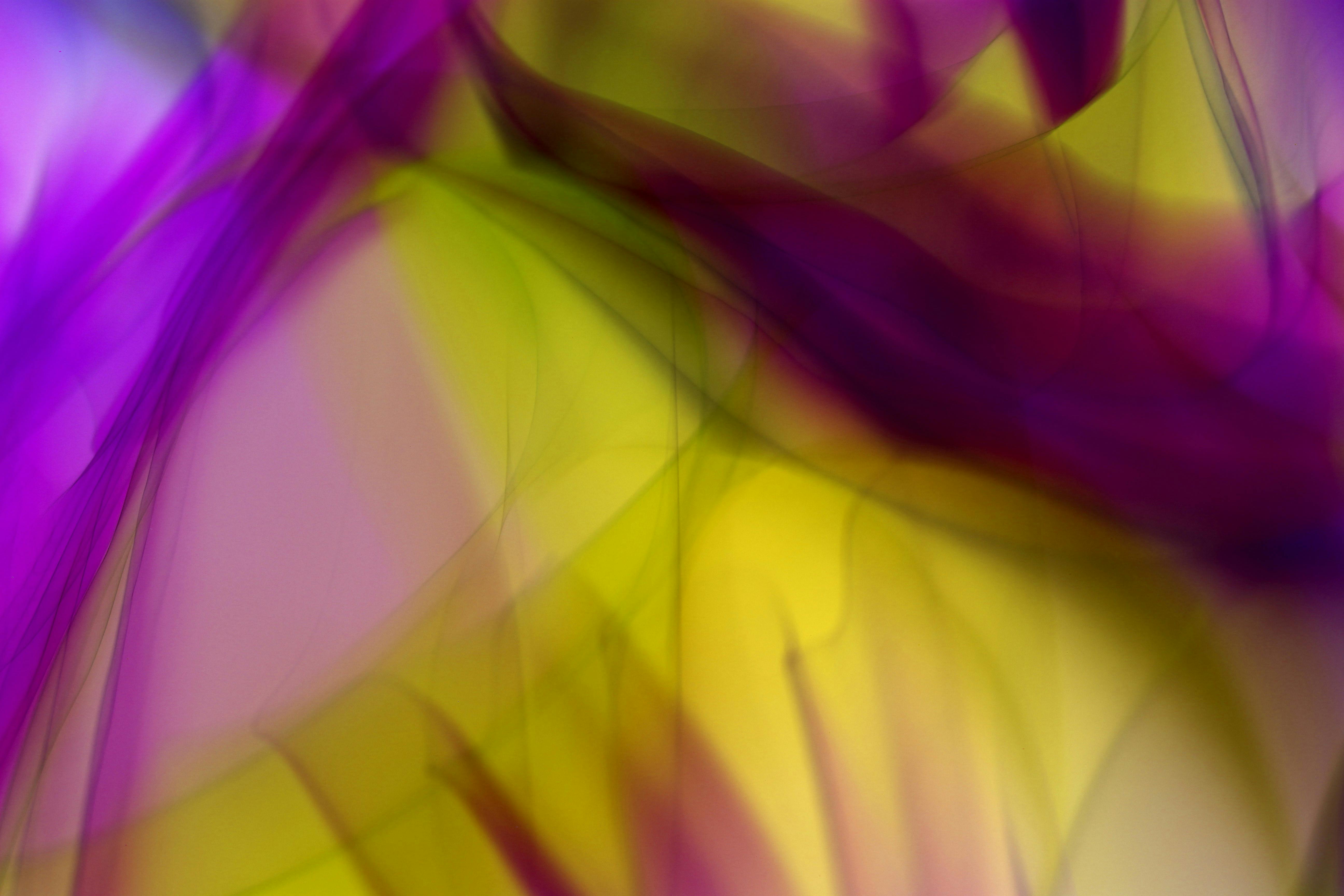 Tri Color Background Photos, Download The BEST Free Tri Color ...