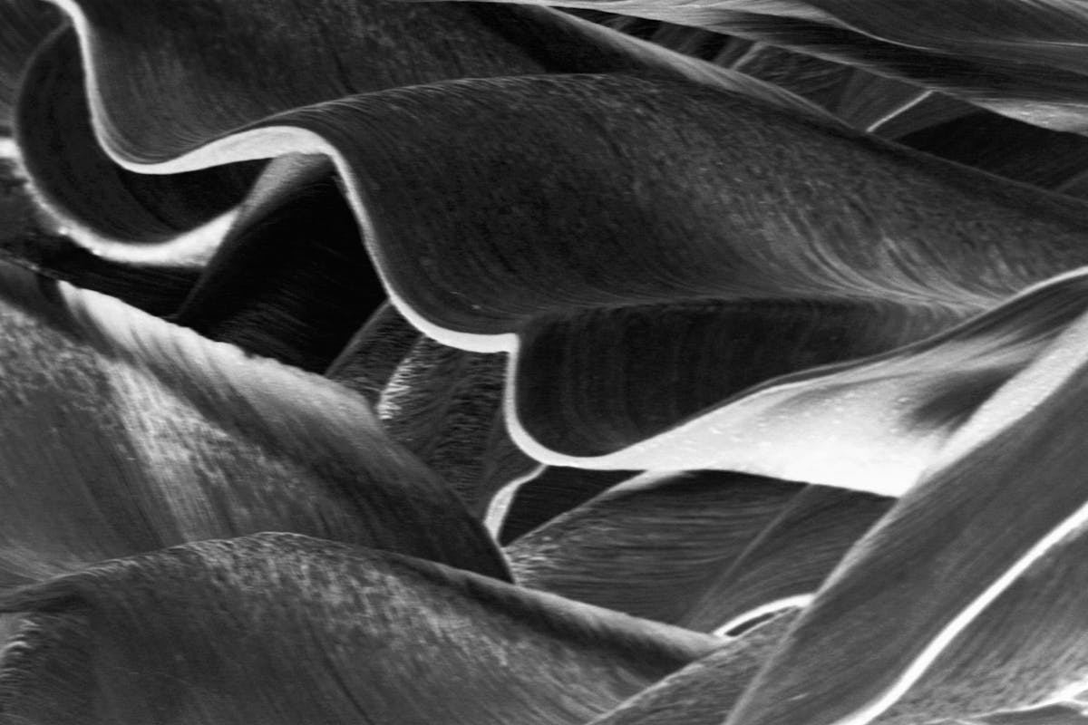 Abstract Nature Photos, Download The BEST Free Abstract Nature Stock ...