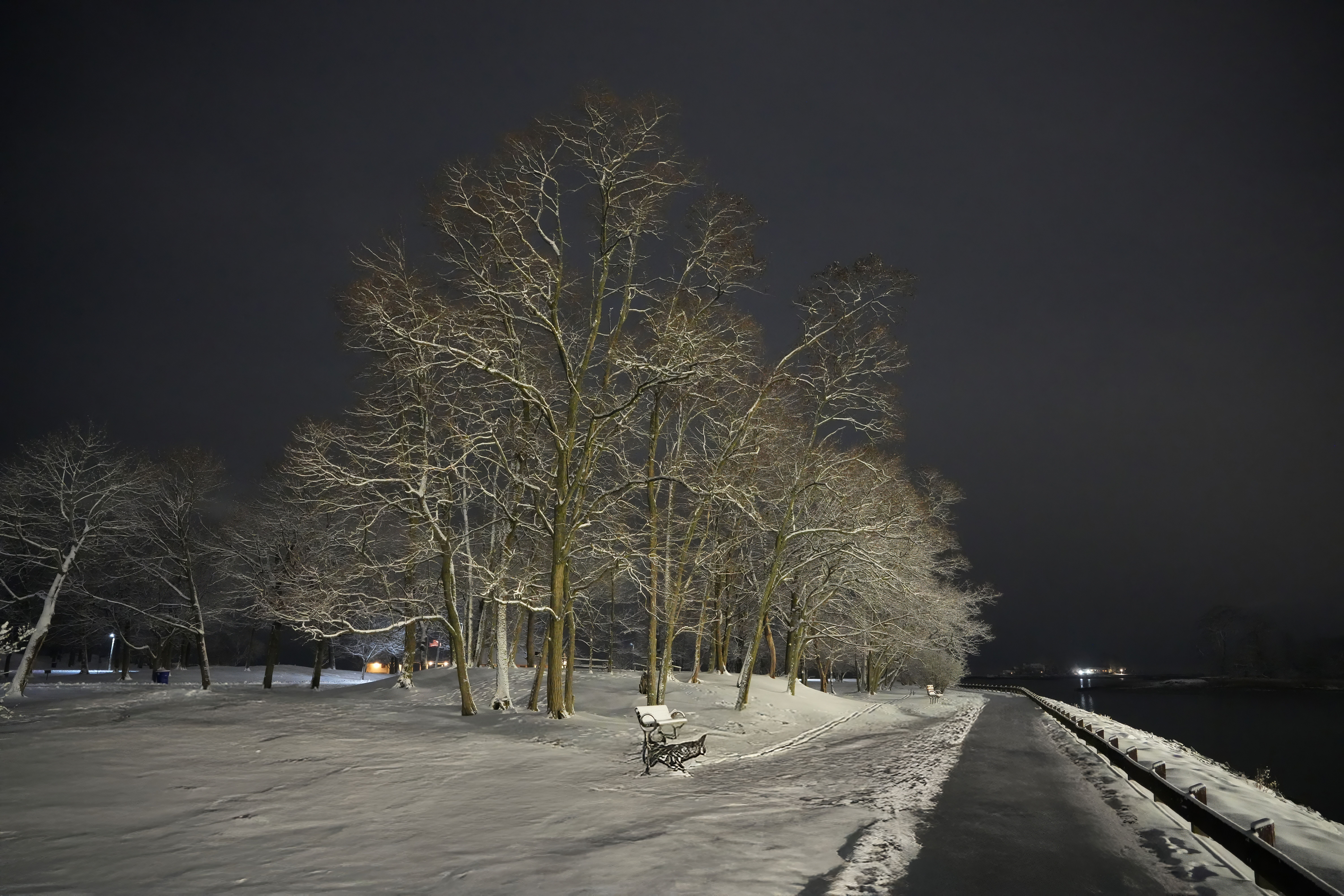 Winter Night at Cove Island Park, Stamford · Free Stock Photo