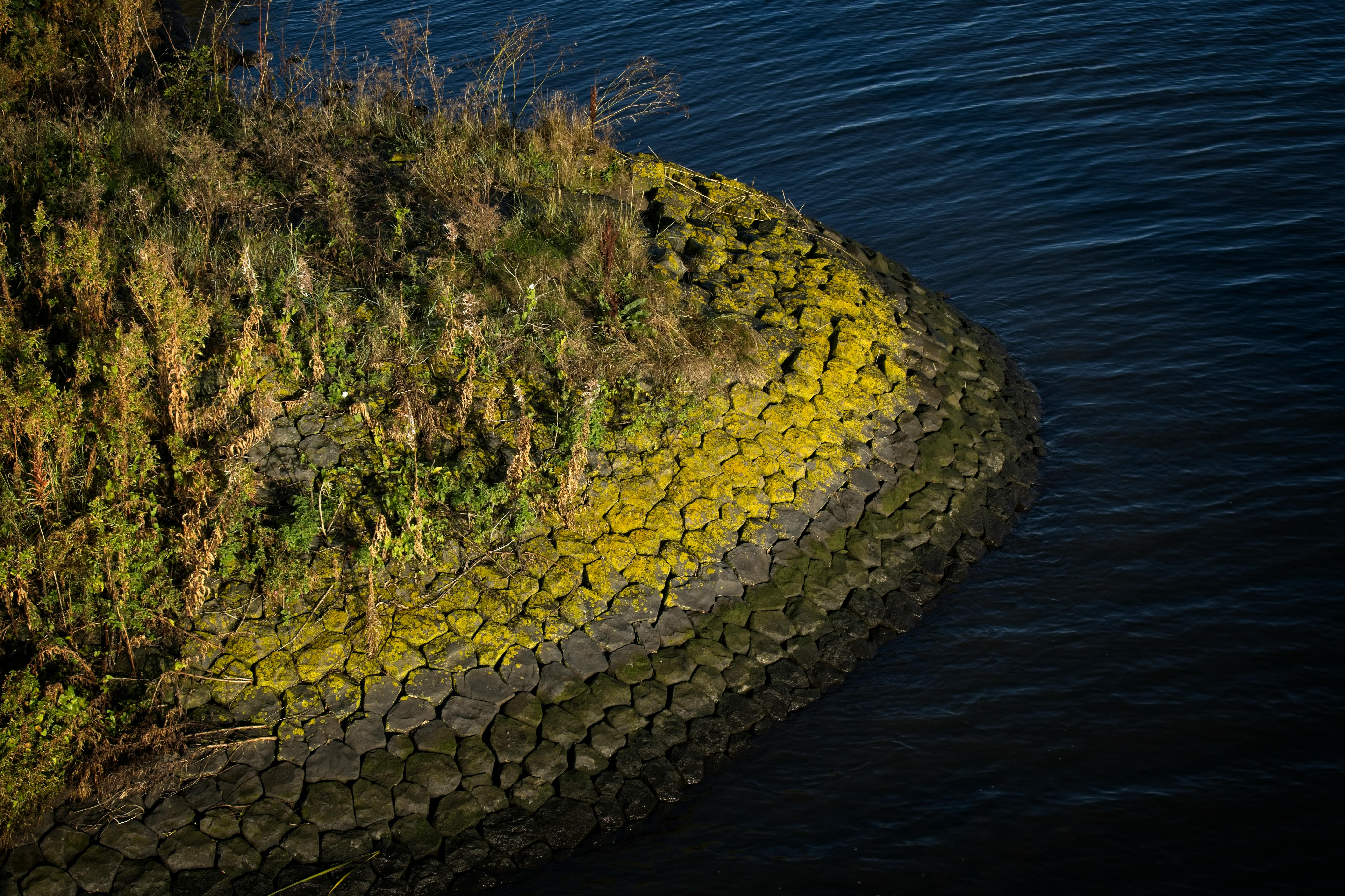 Vilote Abstraction Photos, Download The BEST Free Vilote Abstraction ...