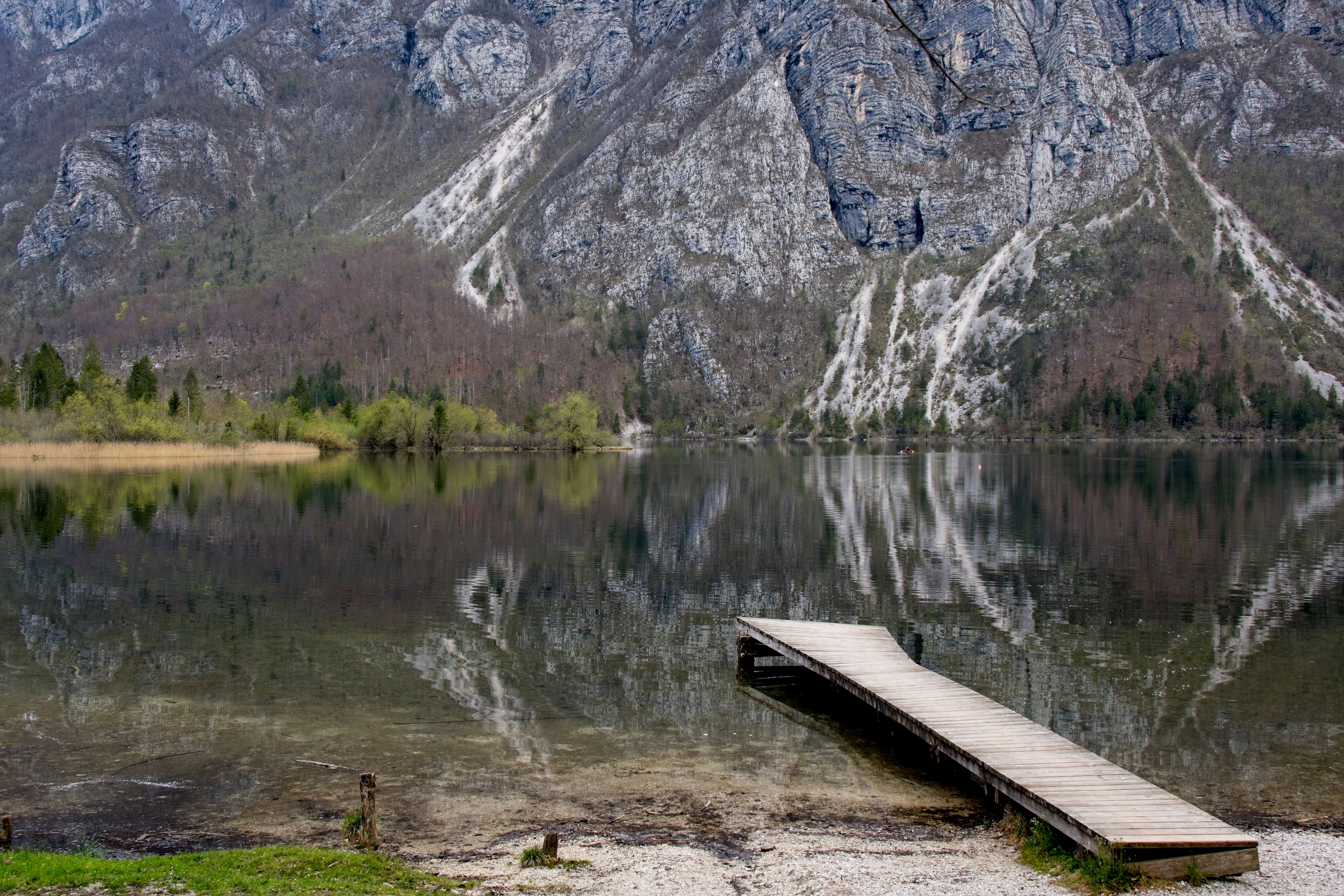 Spring Dock Photos, Download The BEST Free Spring Dock Stock Photos ...