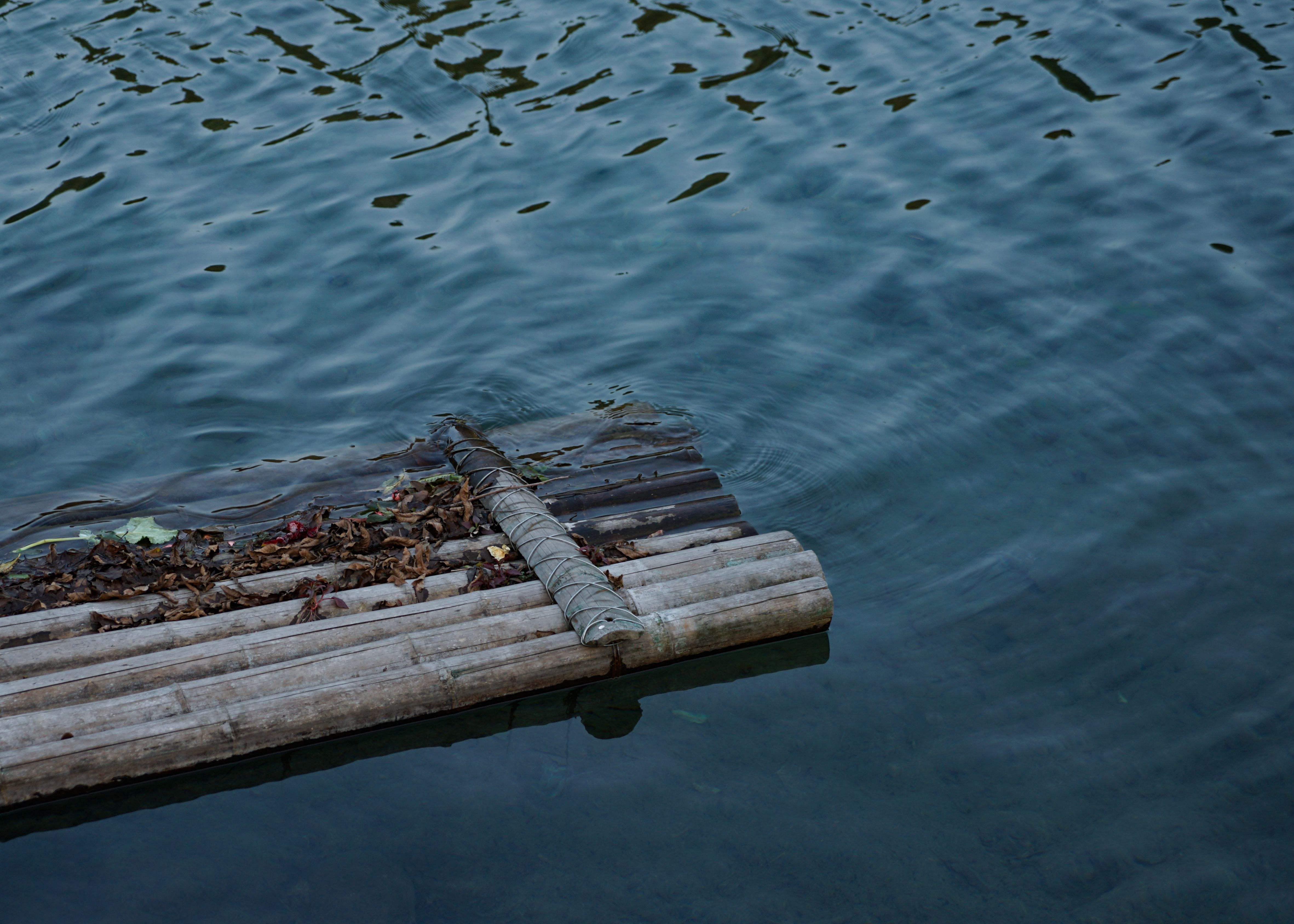 Bamboo Raft Floating in Tranquil Waters · Free Stock Photo