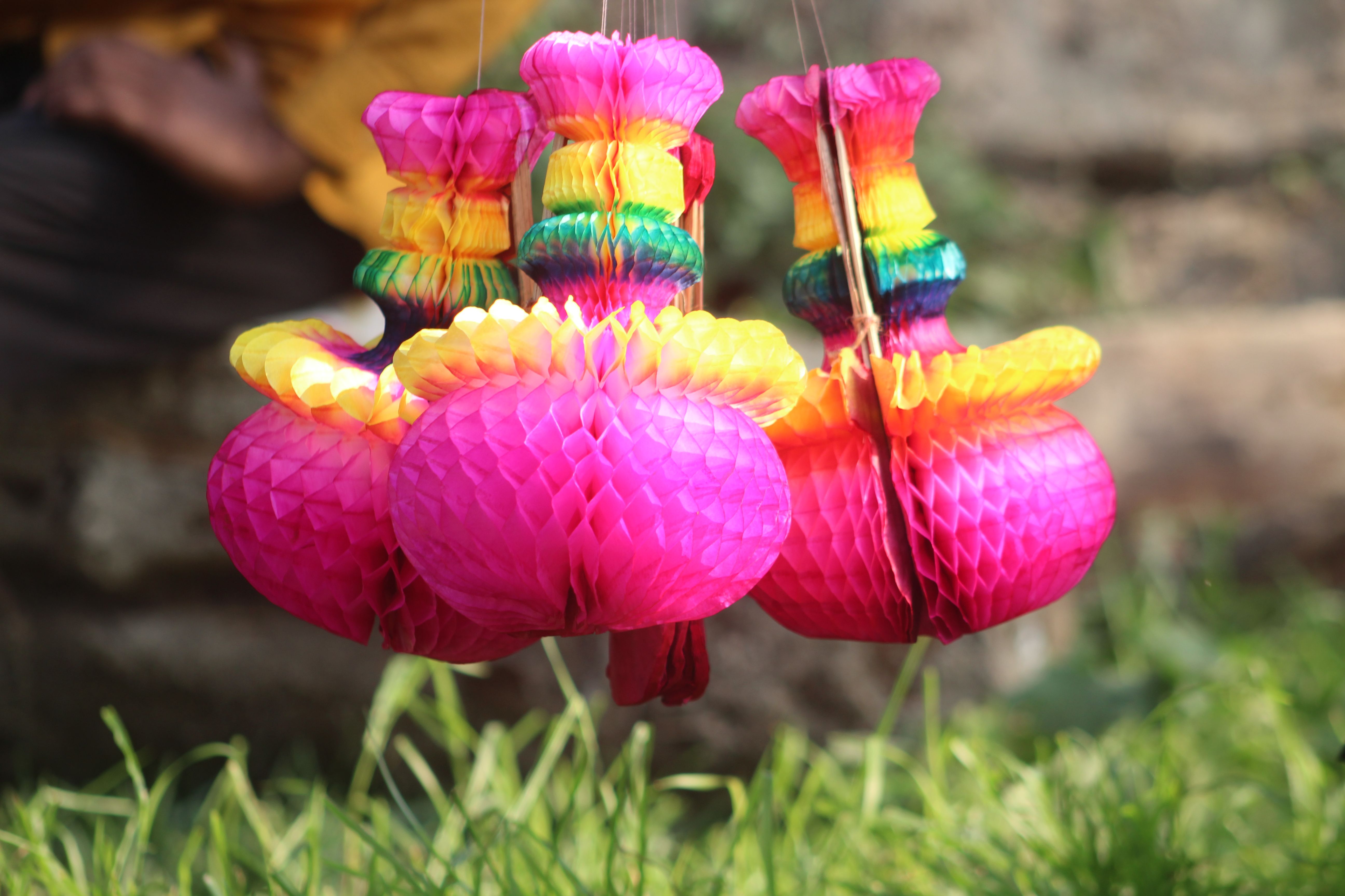 Colorful Paper Lanterns Hanging Outdoors in Bangladesh · Free Stock Photo
