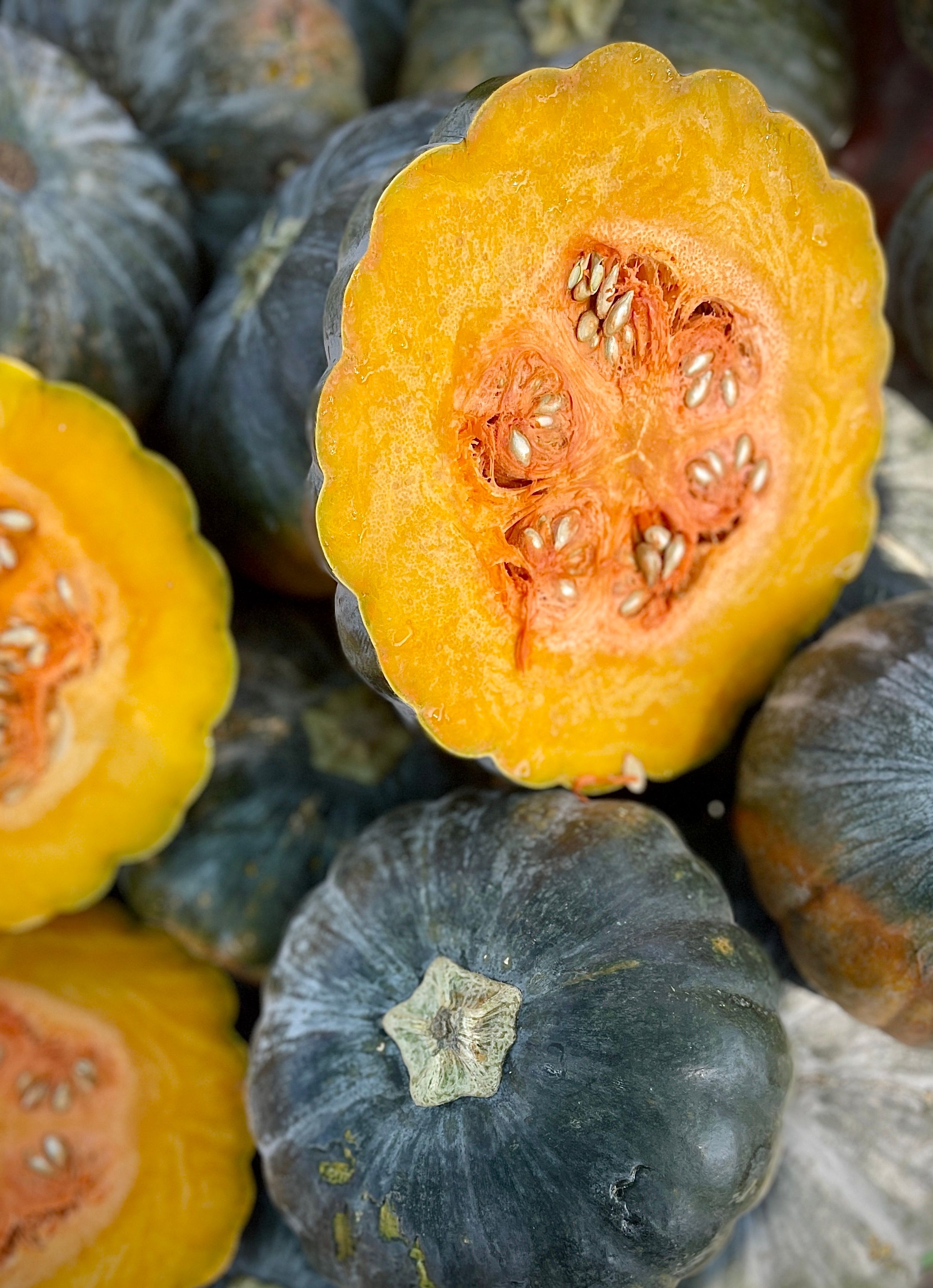 Close-Up of Fresh Kabocha Squash at Market · Free Stock Photo