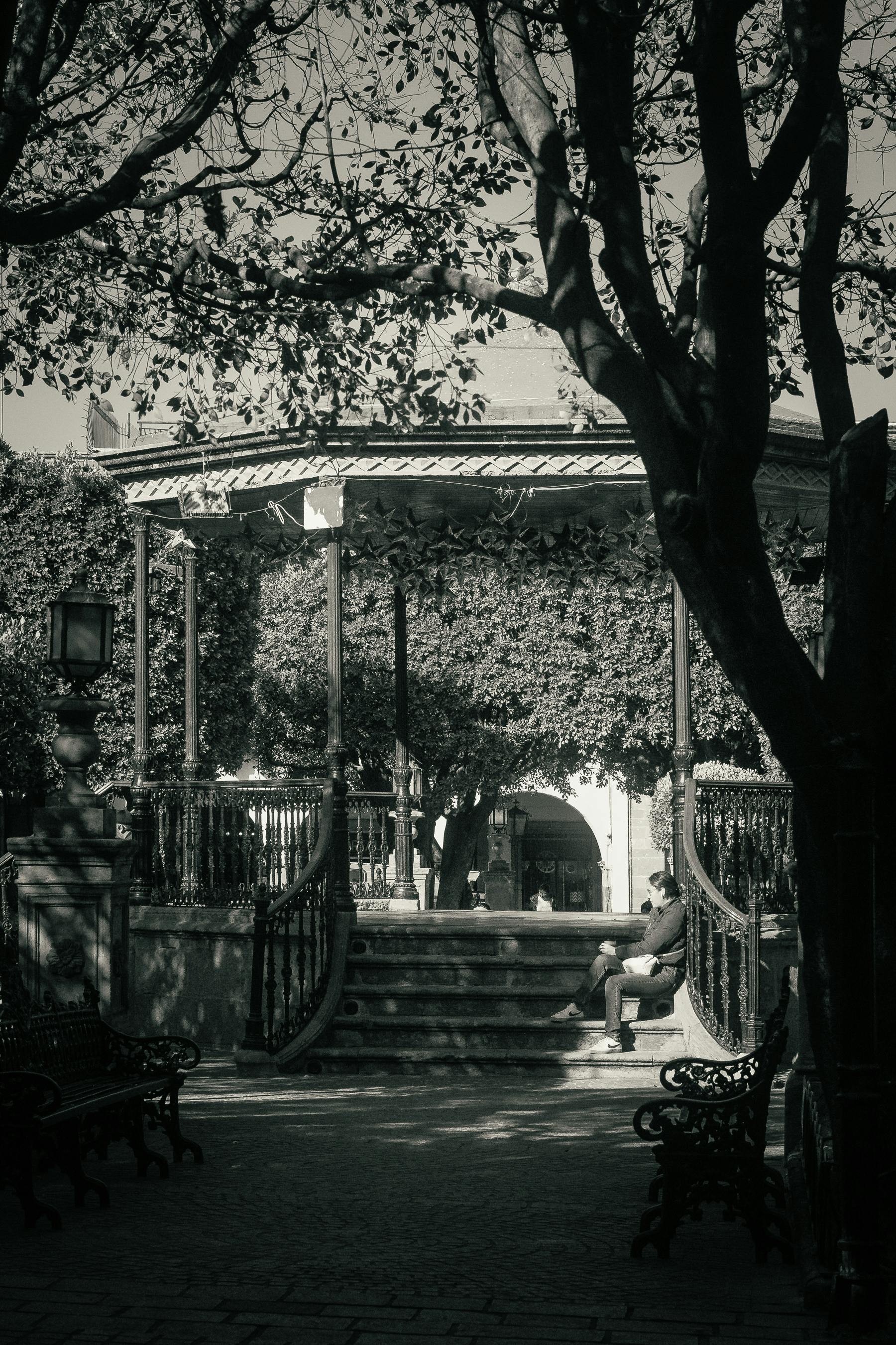 Alejandro Aznar - 사진