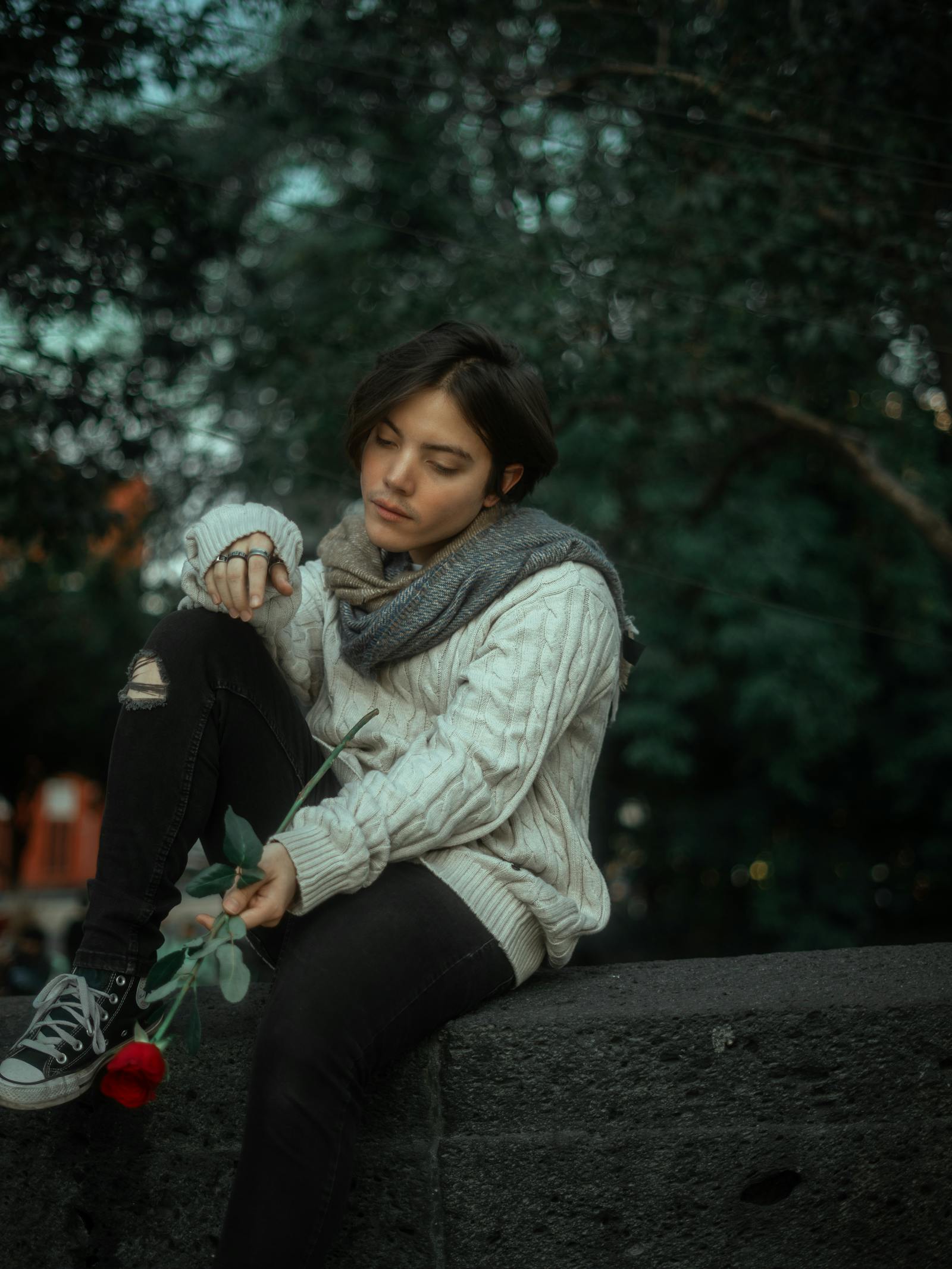 Rose Patel Photos, Download The BEST Free Rose Patel Stock Photos & HD ...