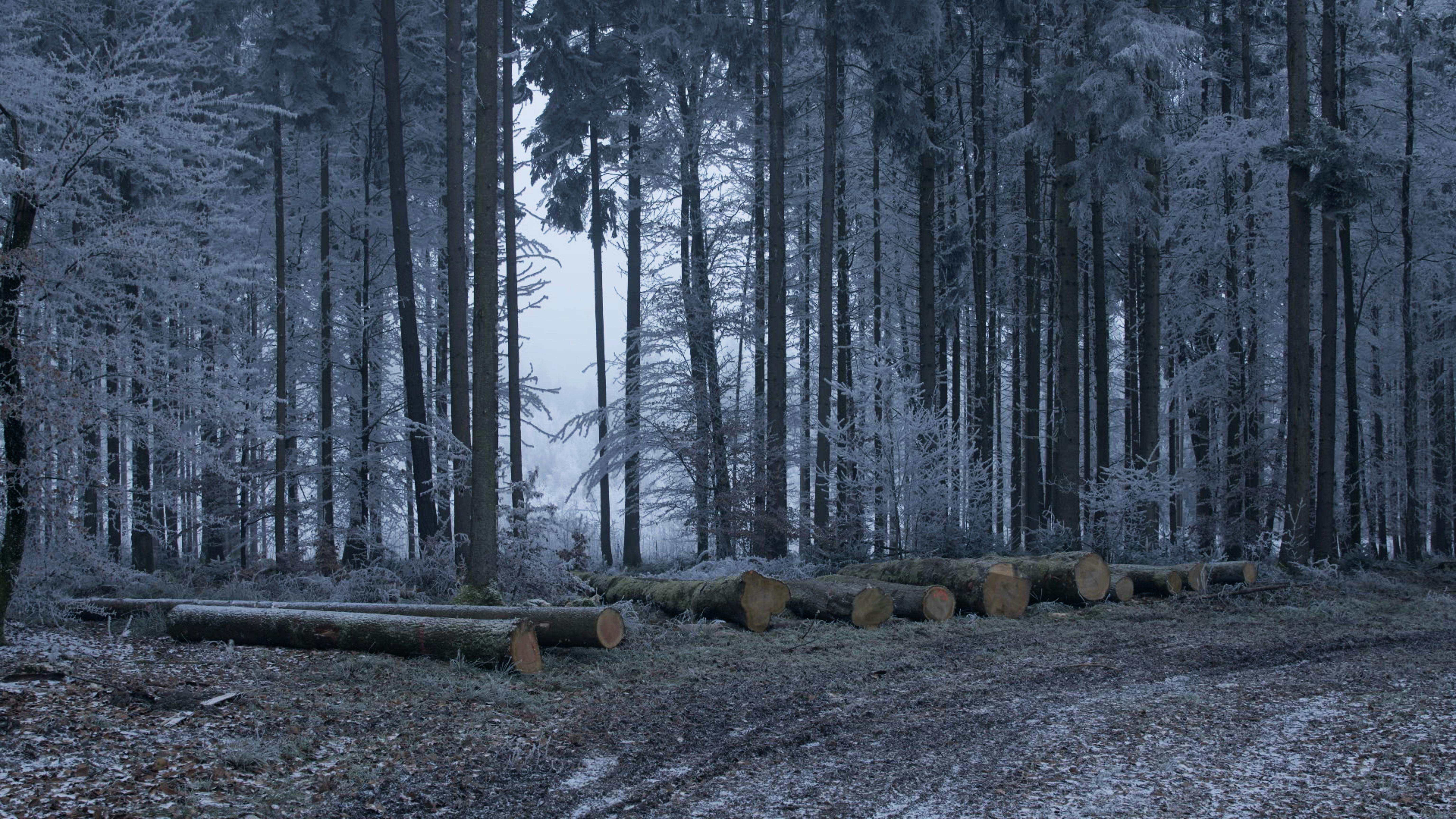 Bad Felling Photos, Download The BEST Free Bad Felling Stock Photos ...