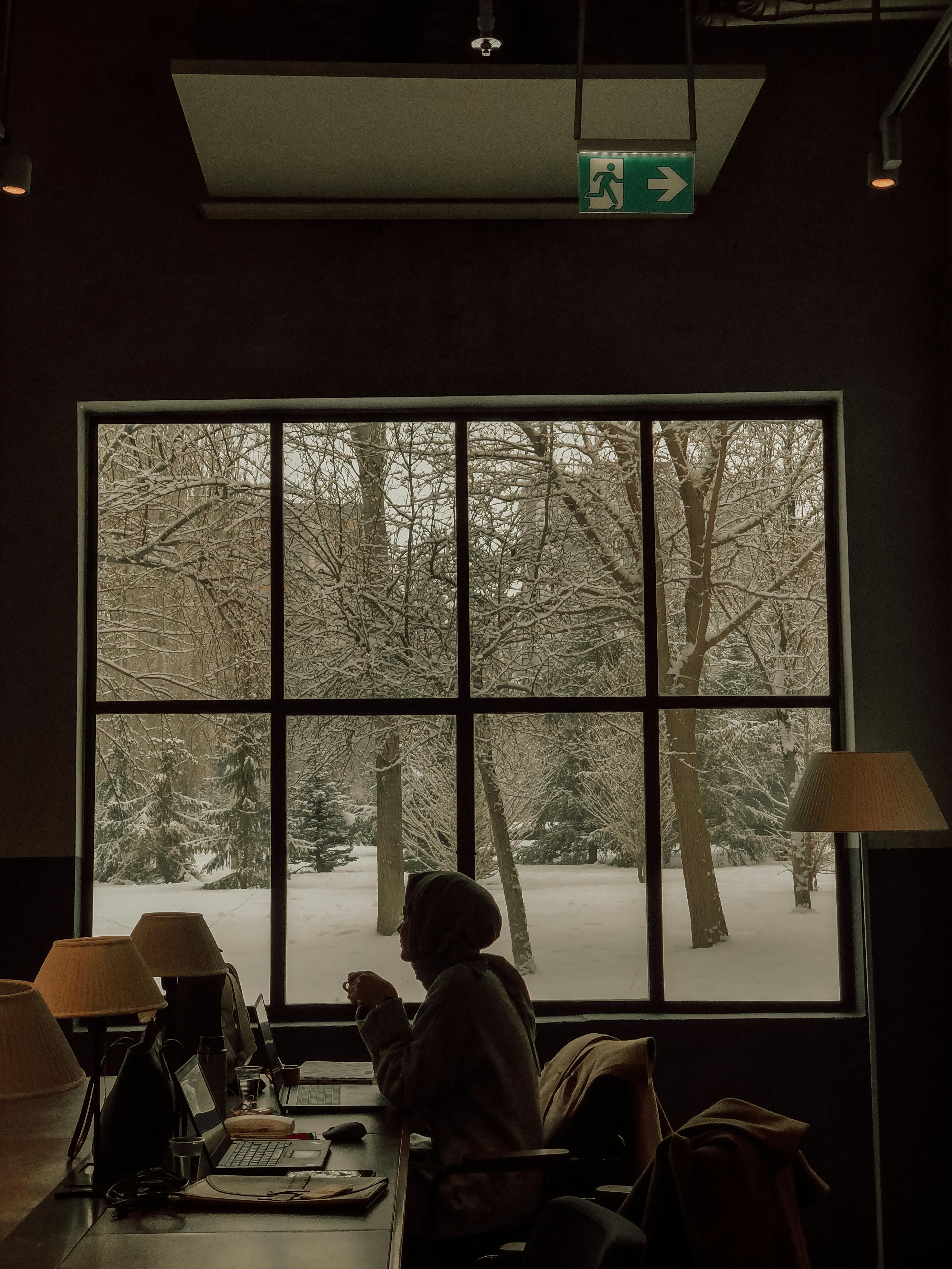 Library Circulation Desk Photos, Download The BEST Free Library ...