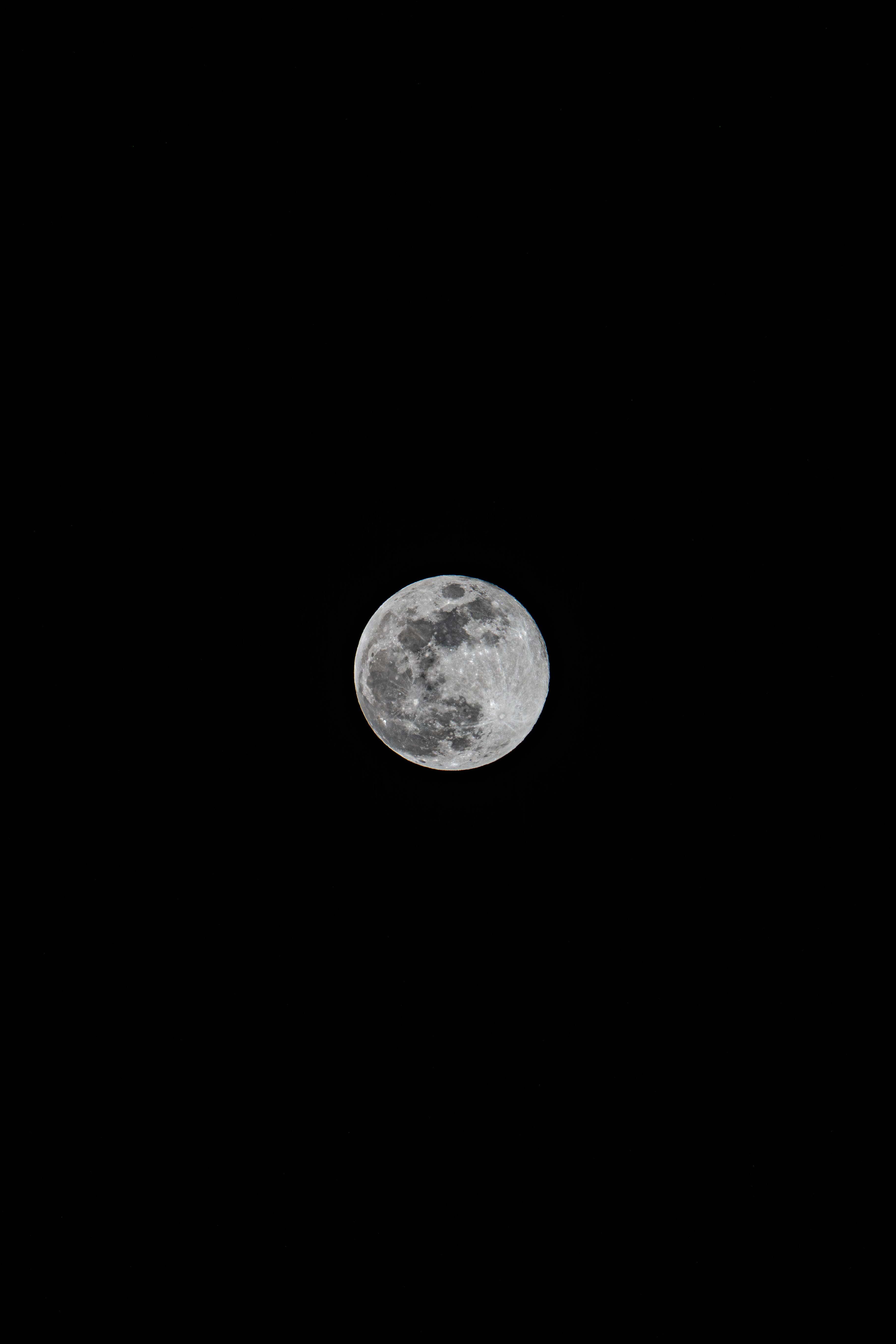 Without Moon Photos, Download The BEST Free Without Moon Stock Photos ...