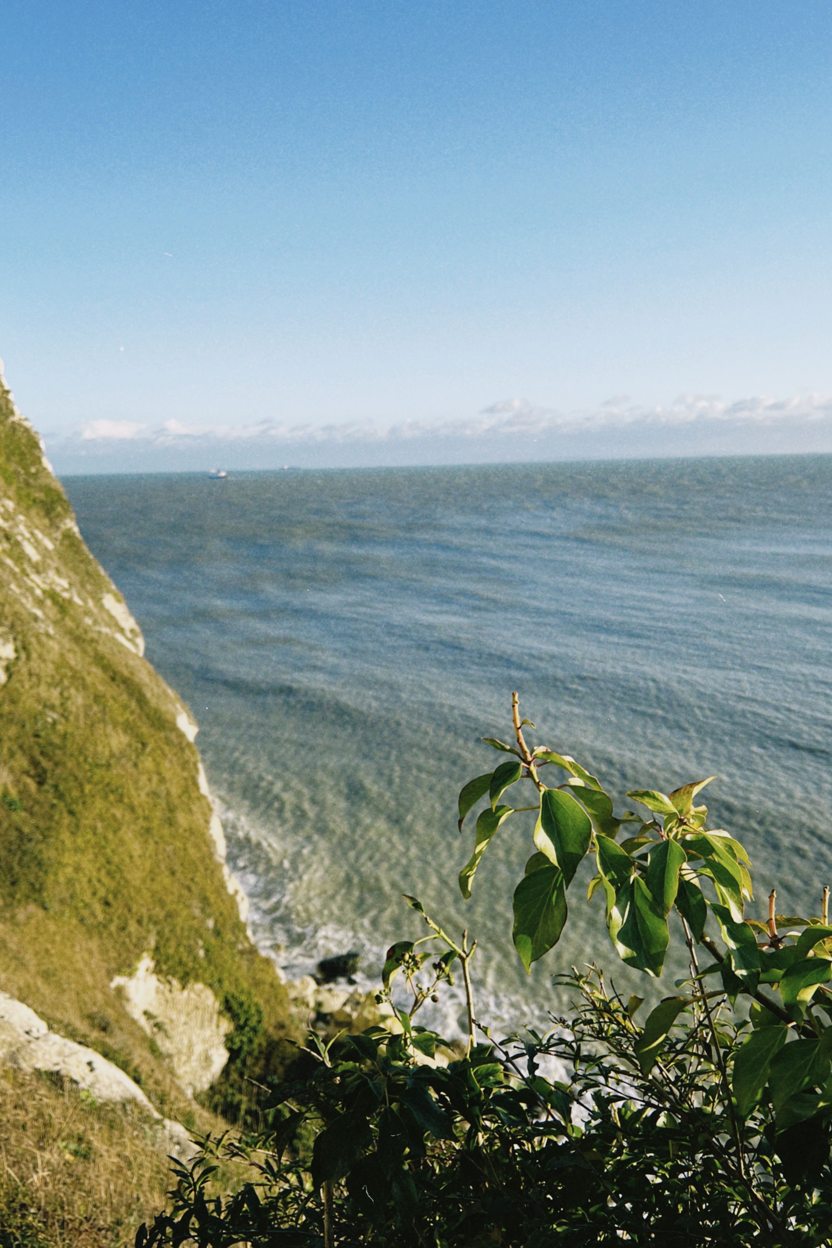Scenic Ocean View from a Cliffside Perspective · Free Stock Photo