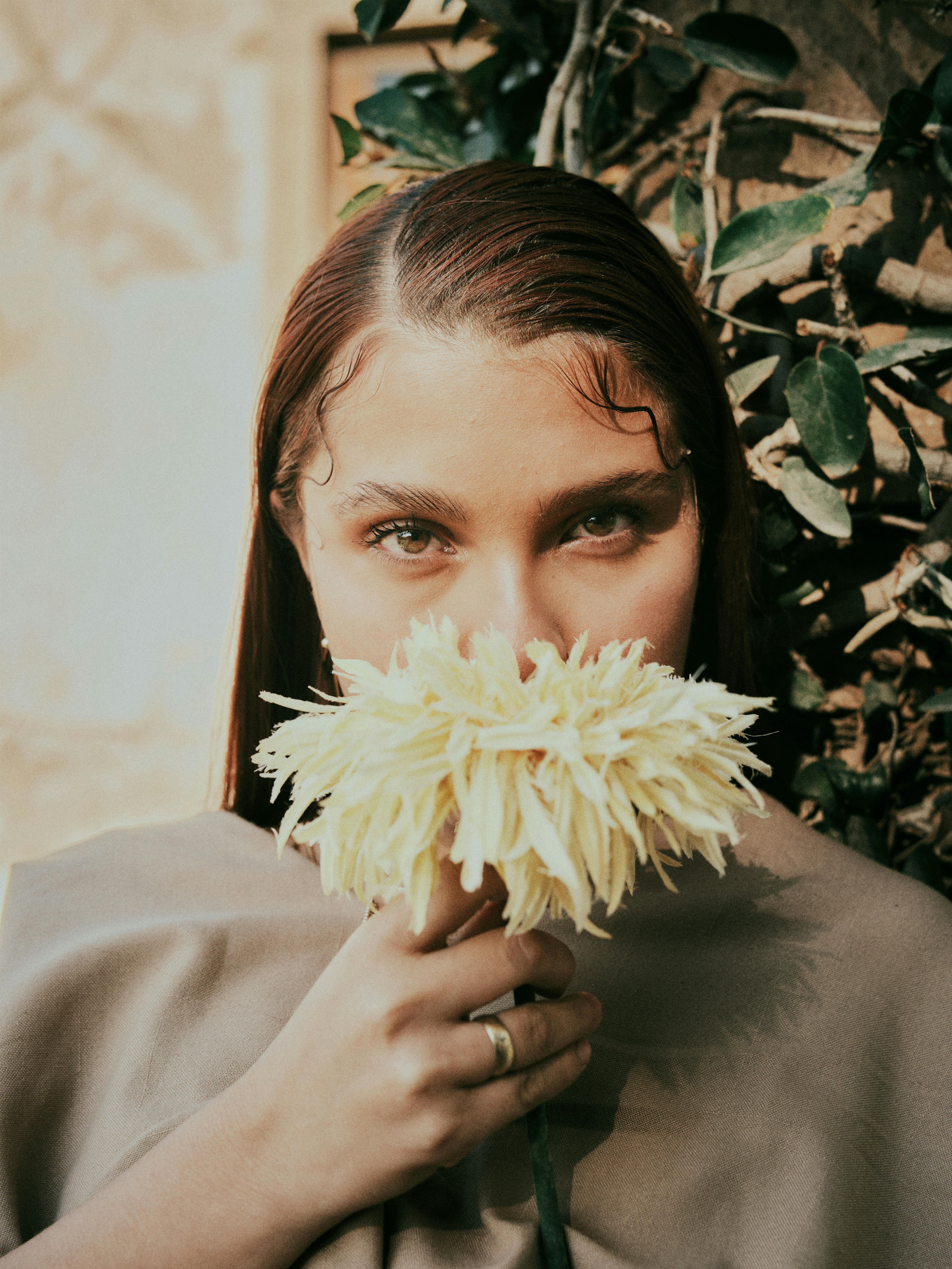 Flower With 12 Petals Photos, Download The BEST Free Flower With 12 ...