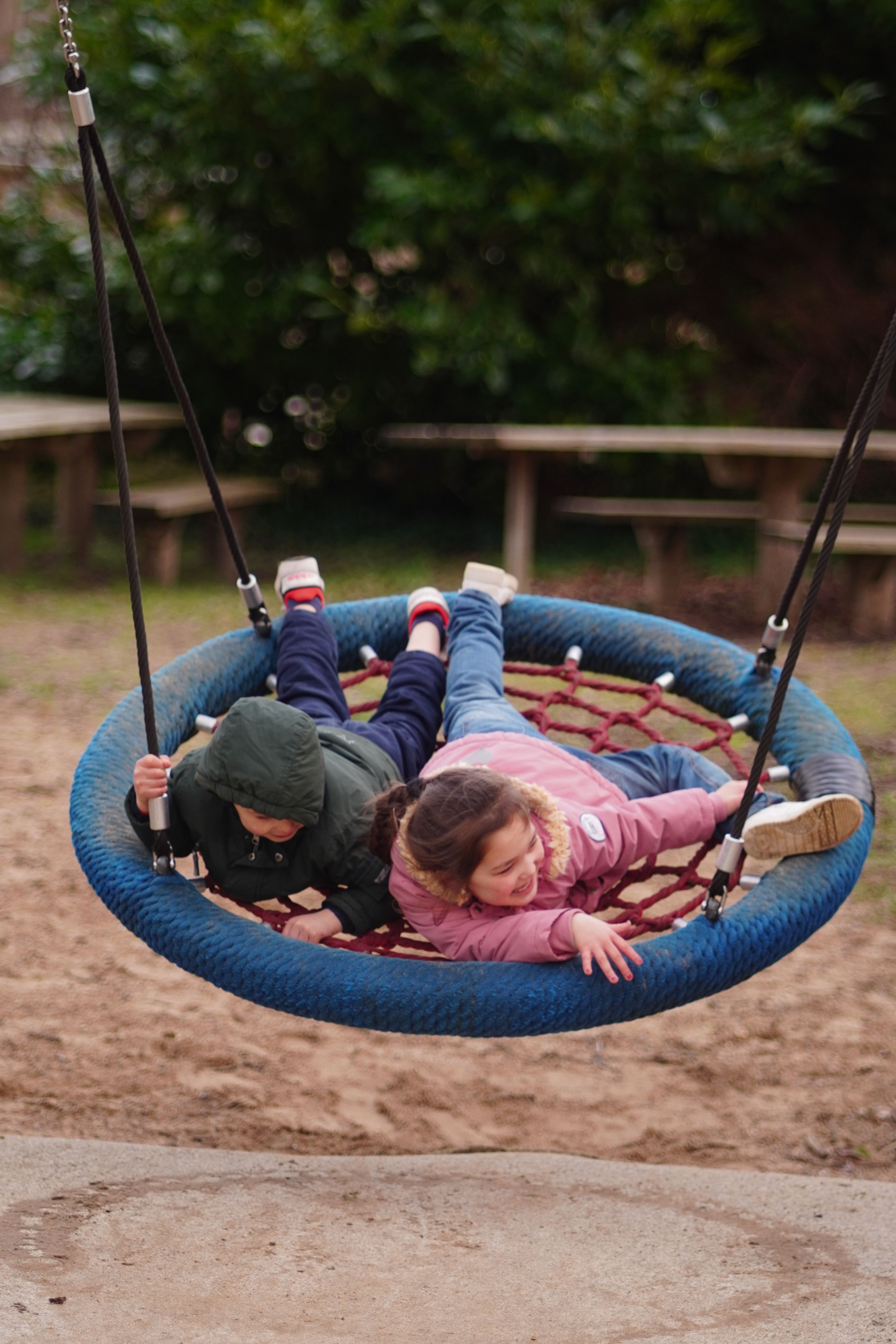 Joyful Kids Playing on a Swing in the Park · Free Stock Photo